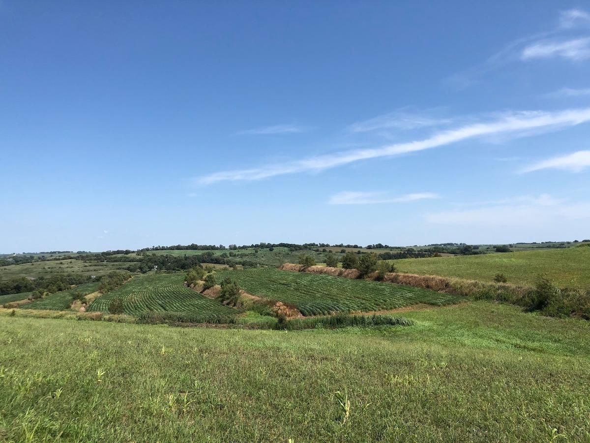 Herman, Washington County, NE for sale Property ID: 410077108 | LandWatch