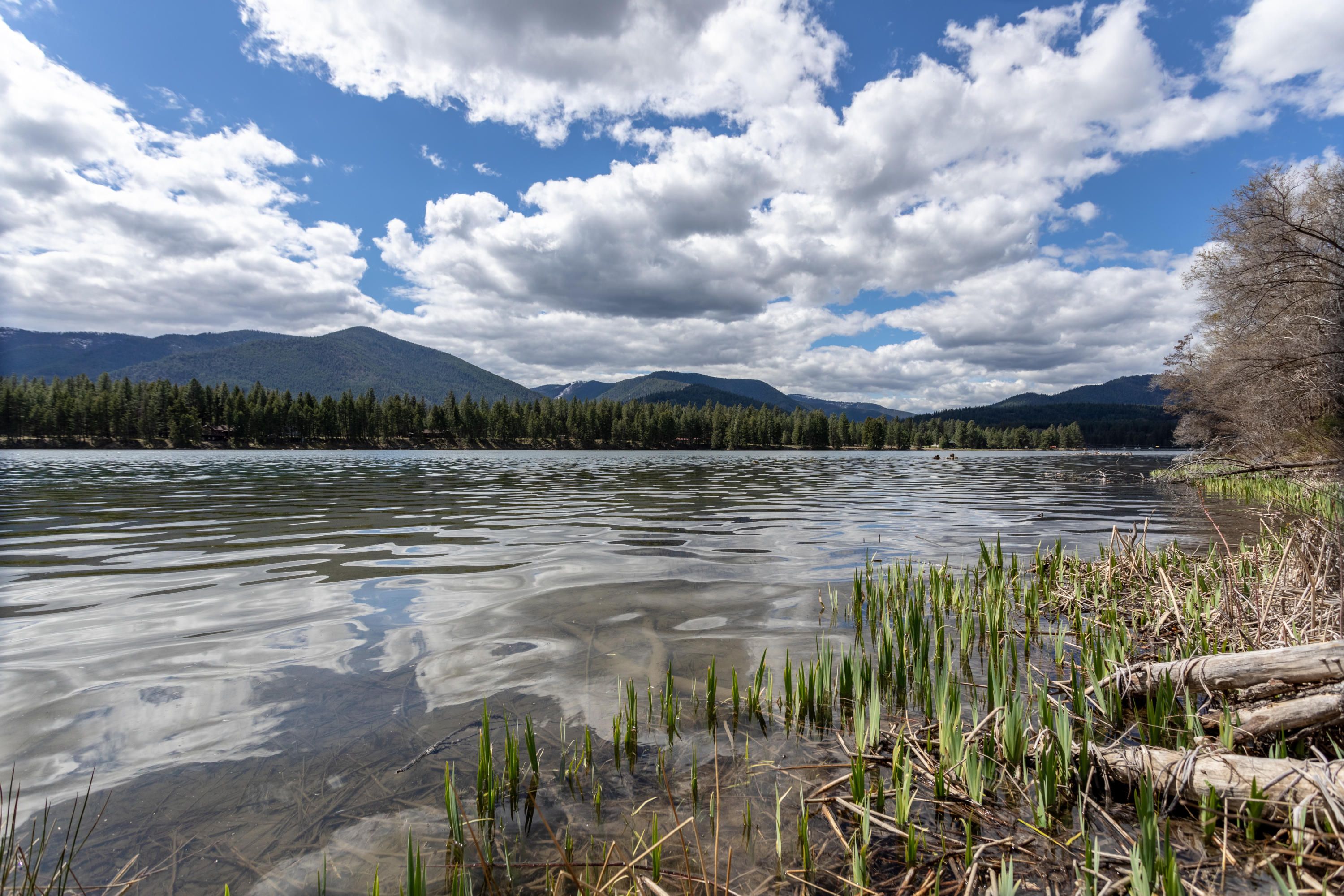 Thompson Falls, Sanders County, MT Undeveloped Land for sale Property ...