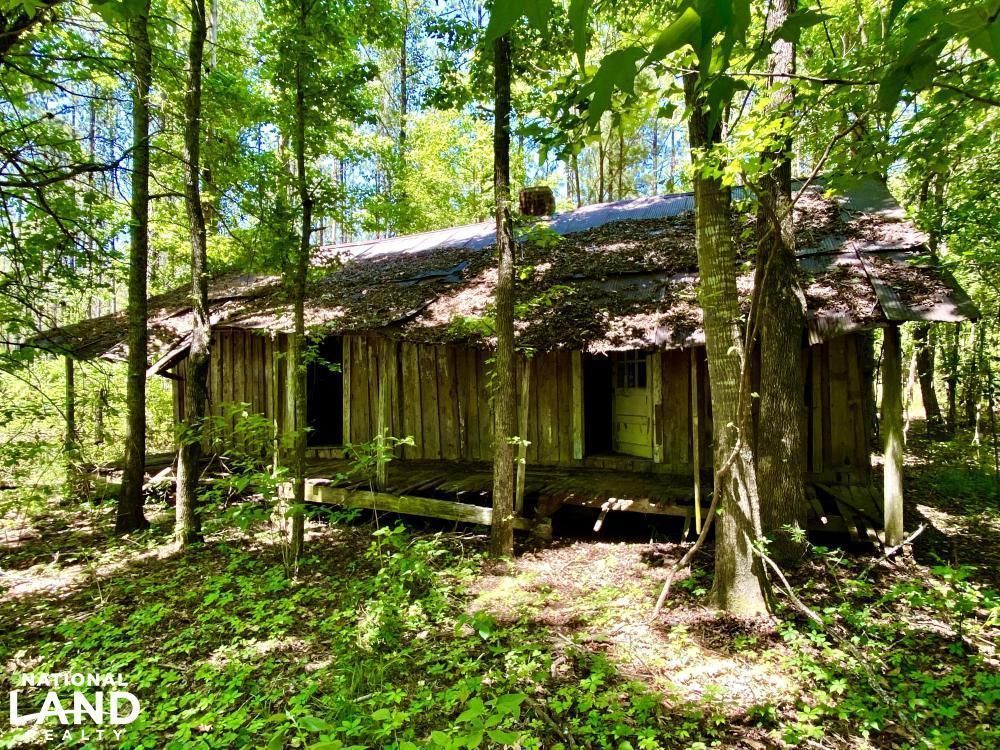 0 Hwy 82, Mathews, AL 36052 | LandWatch