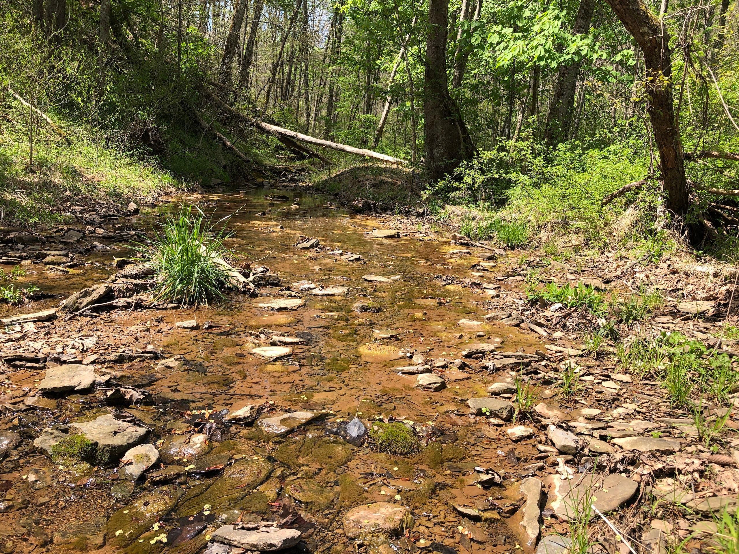 Rt. 821 WPLot#001, Lower Salem, OH 45745 | LandWatch