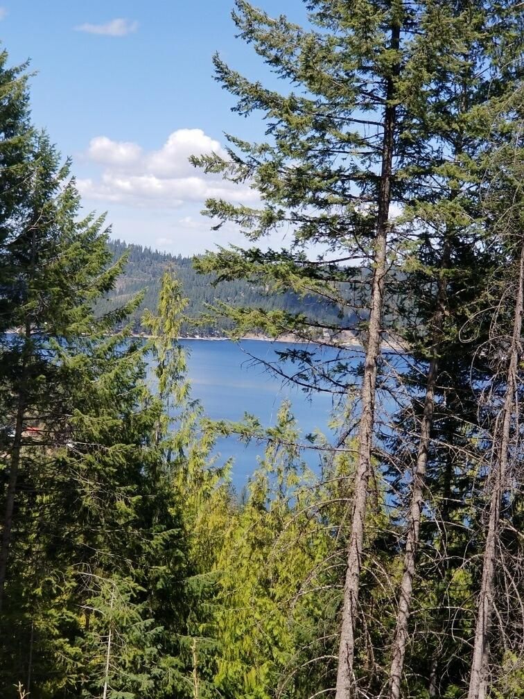 Loon Lake, Stevens County, WA Undeveloped Land for sale Property ID ...