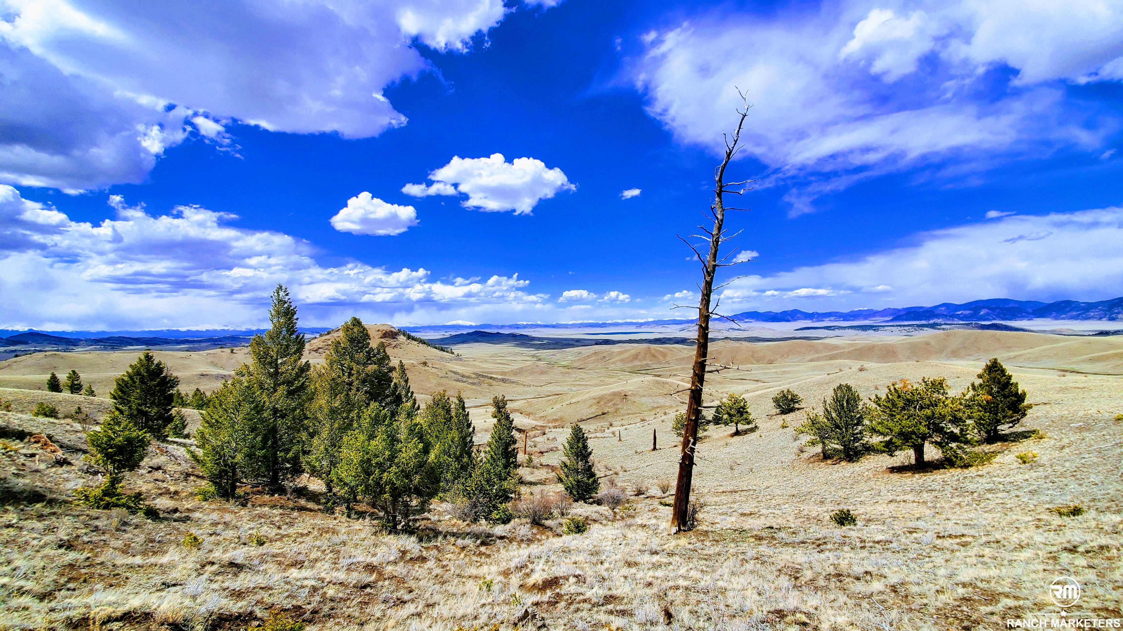 CR 118, Hartsel, CO 80449 | LandWatch