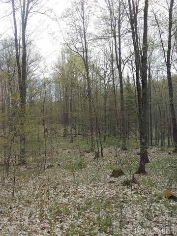 40 Acres off WPA Rd, Amasa, MI 49903 | MLS: 1127209 | LandWatch