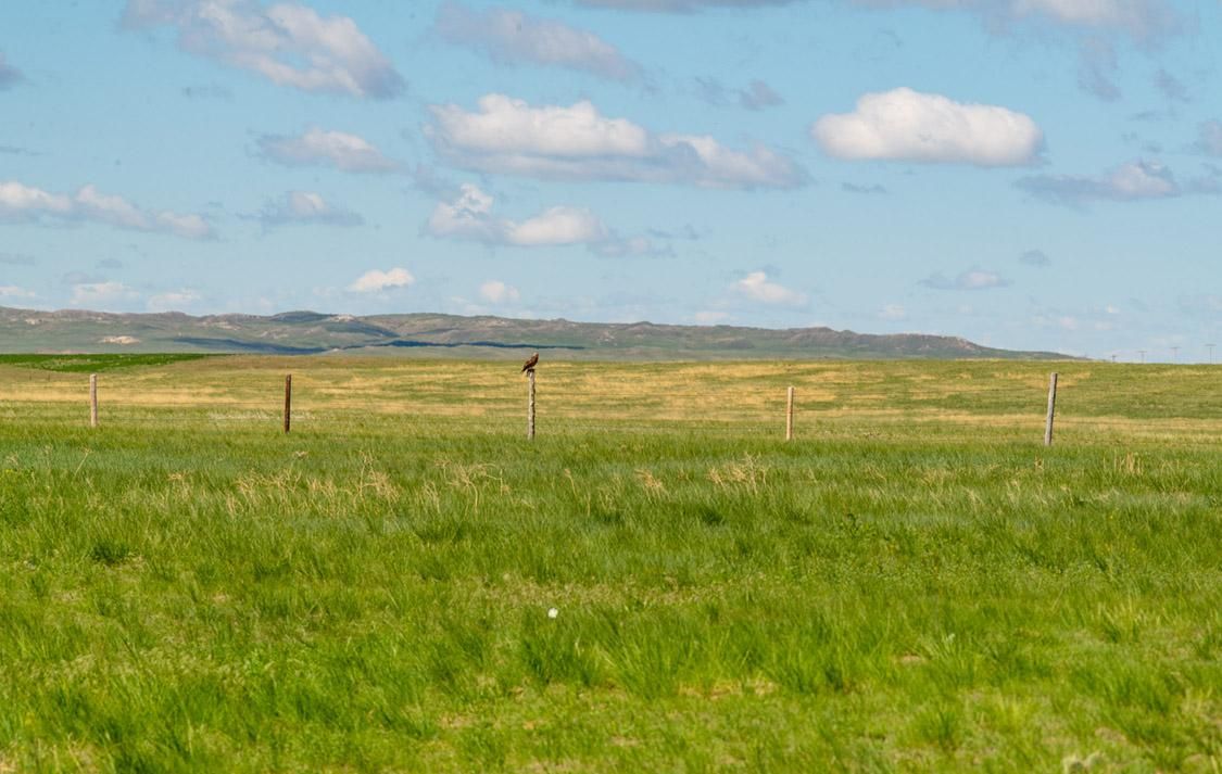 1770 Henry Road, Henry, NE 69358 | LandWatch