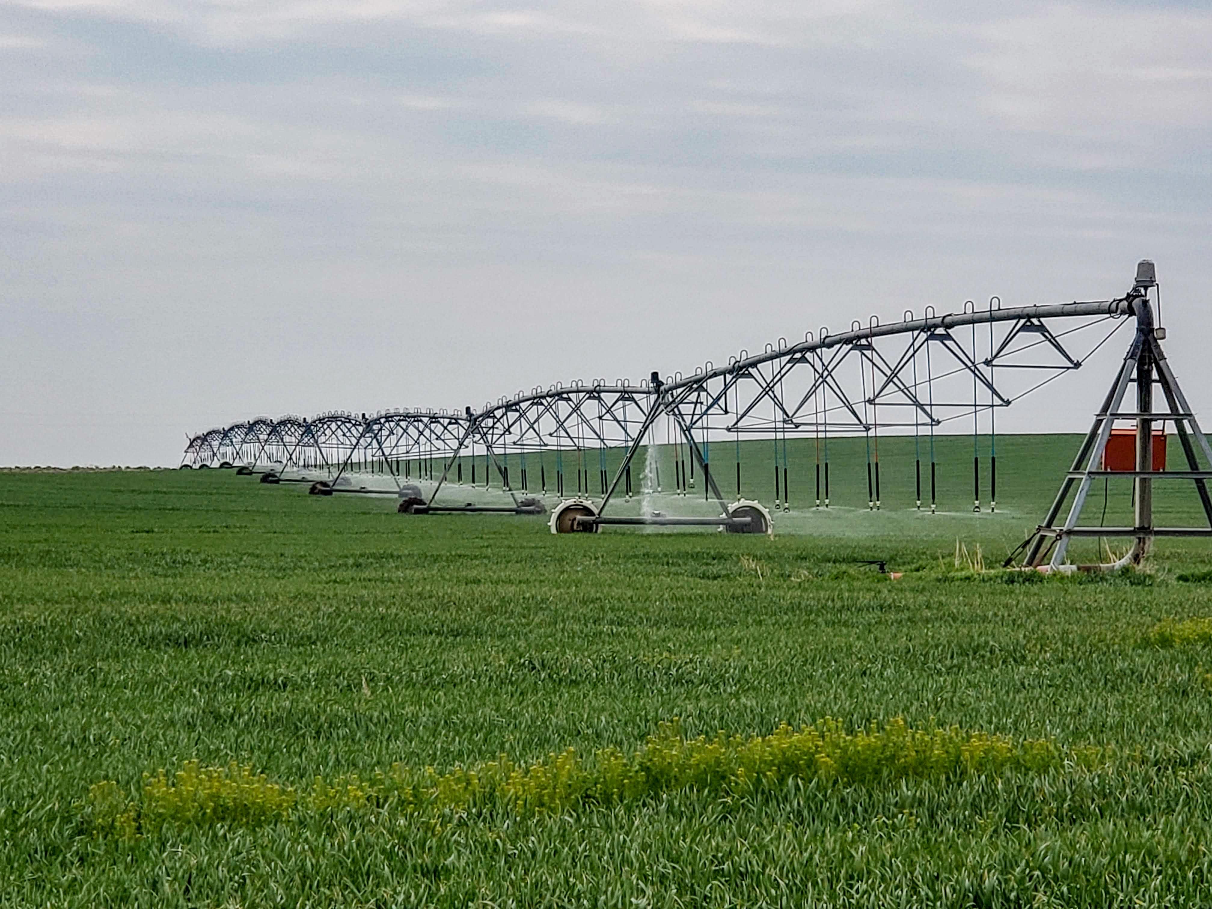 6,332 acres in Keyes, OK, 73947 | LandWatch