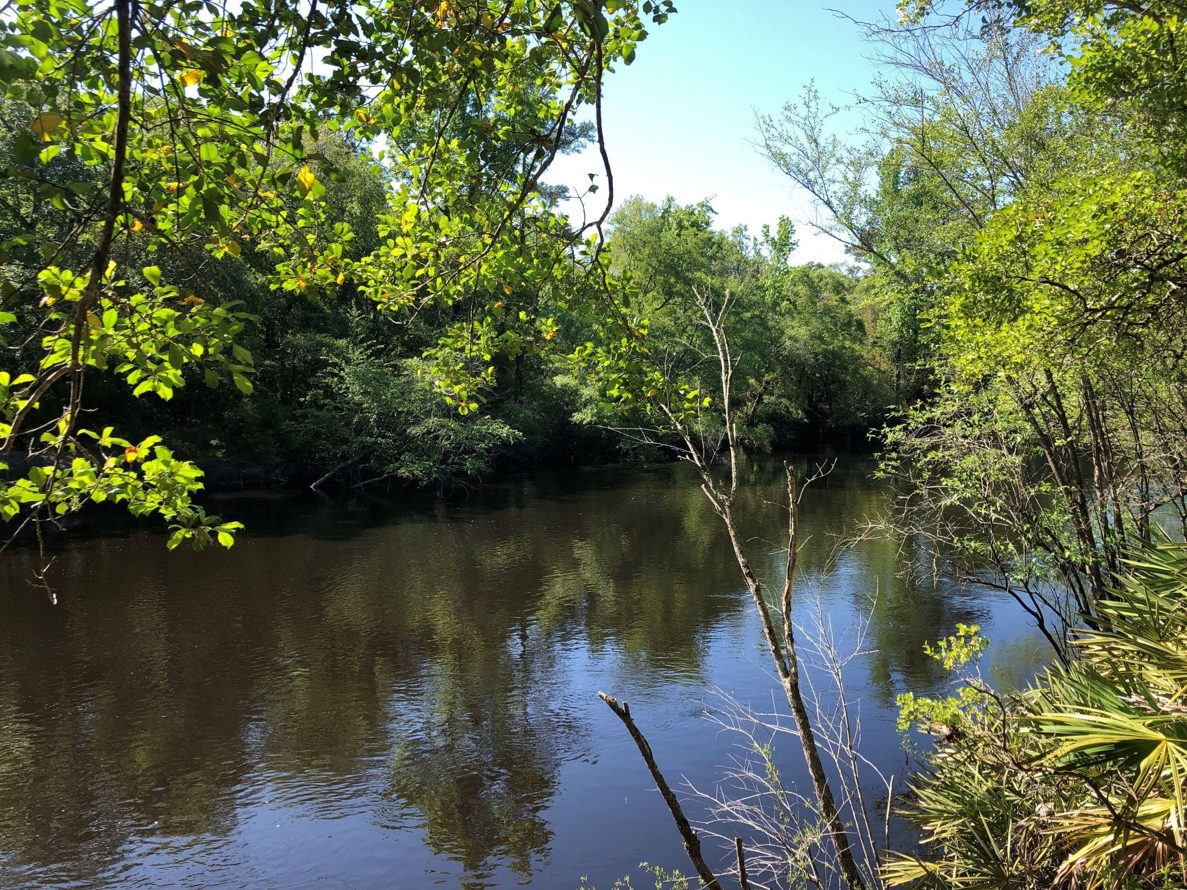 31.4 acres in Saint George, GA, 31537 | LandWatch