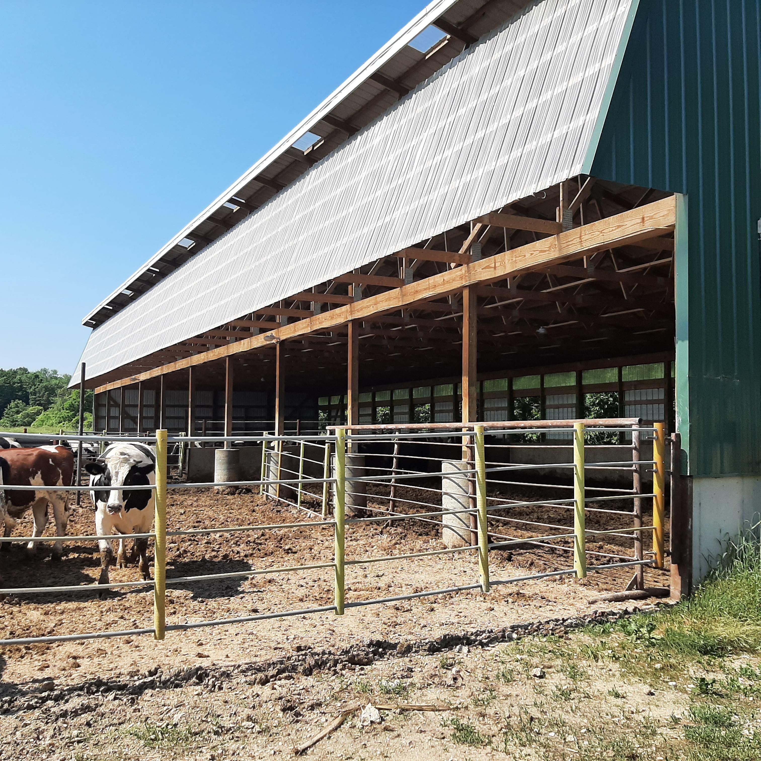 New Lisbon, Juneau County, WI Farms and Ranches, Horse Property for ...