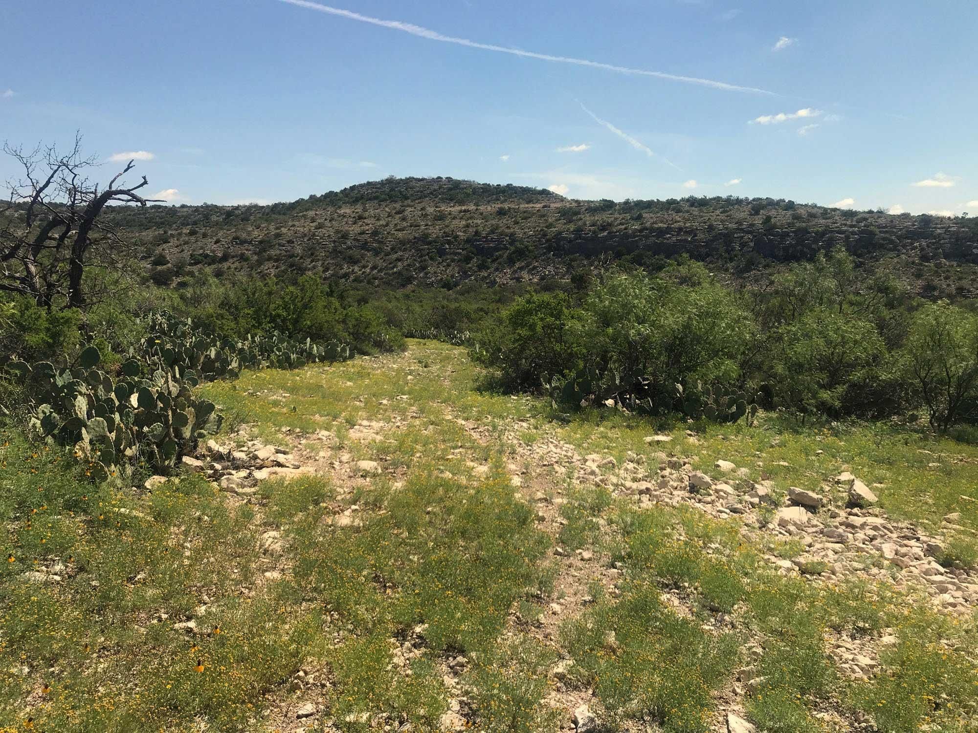 2,936 acres in Dryden, TX, 78851 | LandWatch