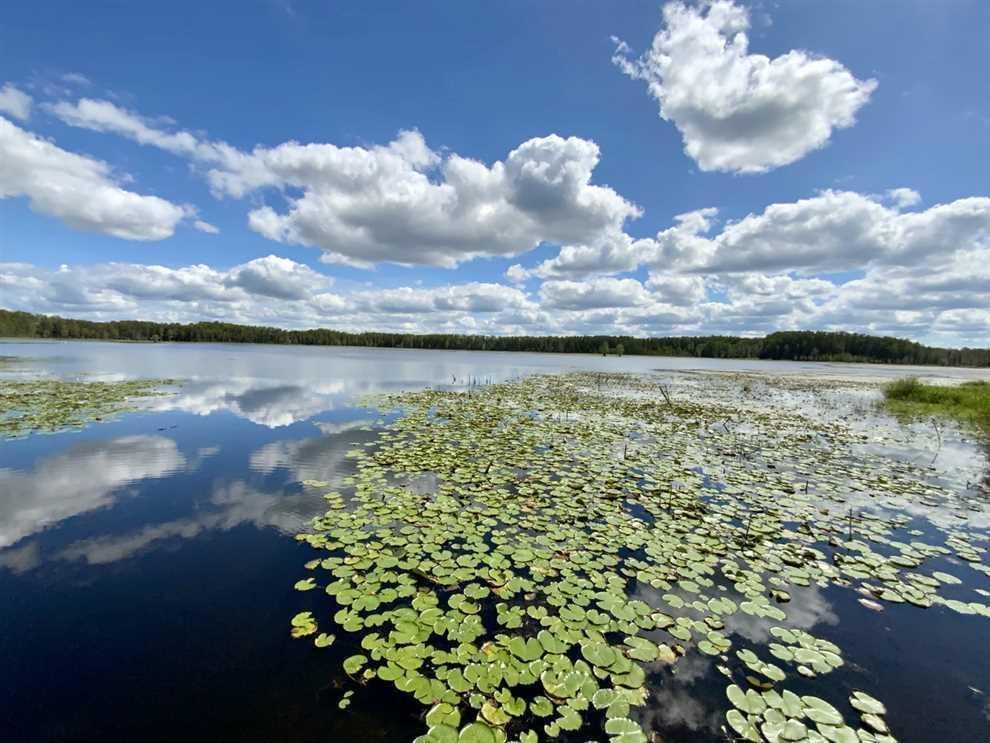 Vacant Koon Lake Rd, Mayo, FL 32066 | LandWatch