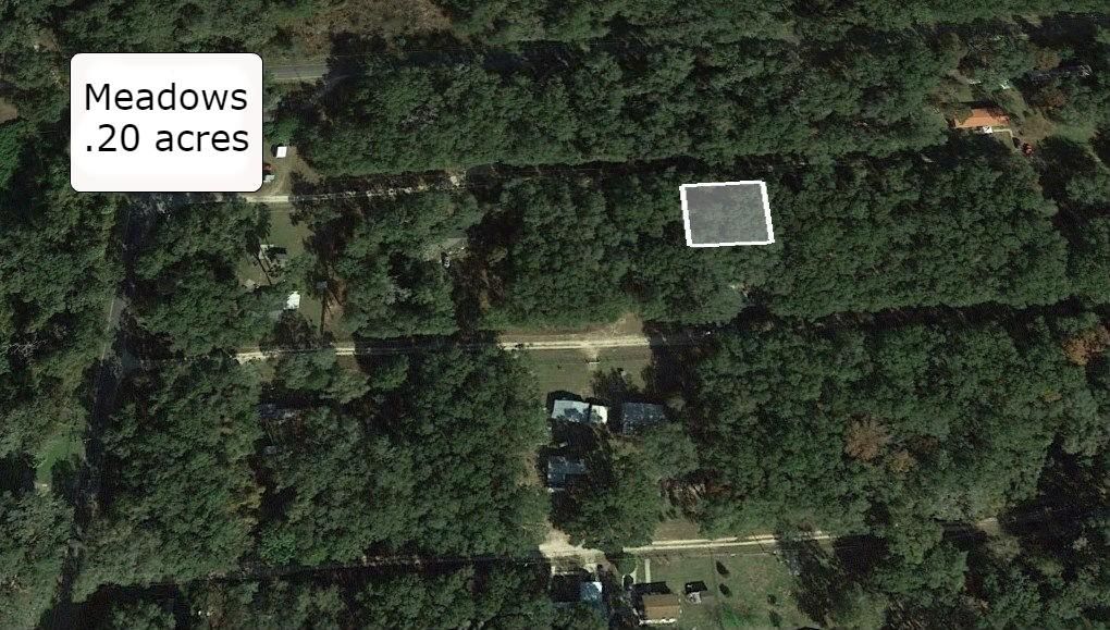 Citra, Marion County, FL Recreational Property, Undeveloped Land ...