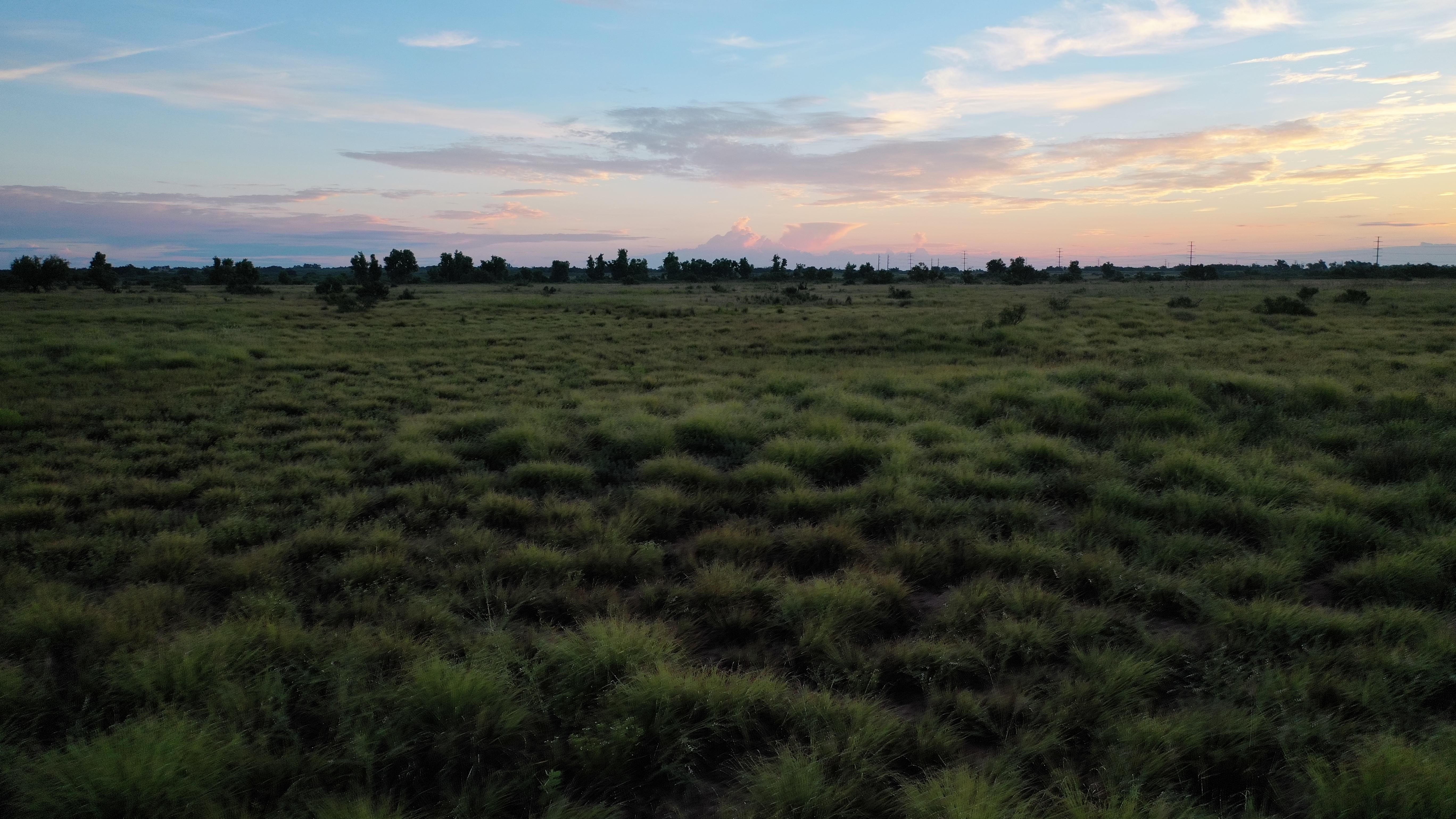 300 acres in Finney, TX, 79236 | LandWatch