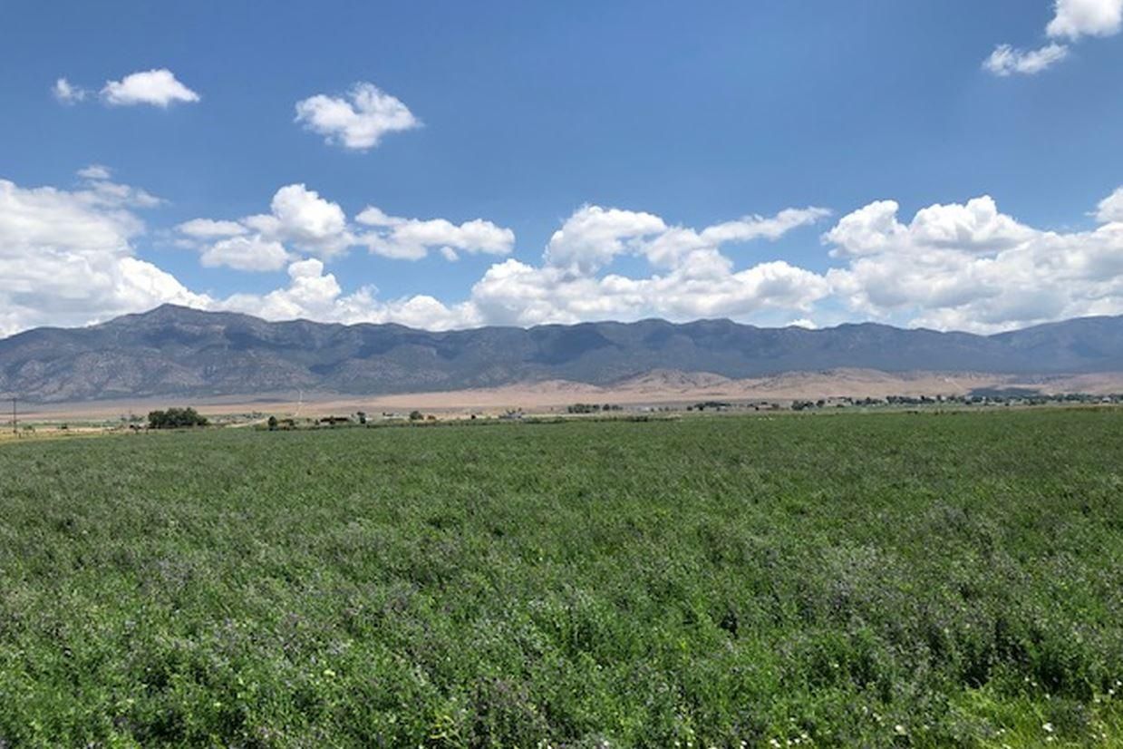 100 acres in Lund, NV, 89317 | LandWatch