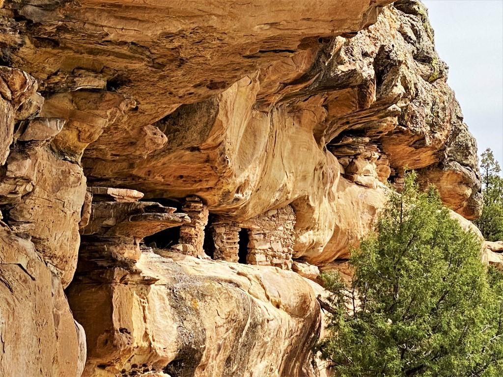 Cahone, Dolores County, CO Recreational Property, Undeveloped Land ...