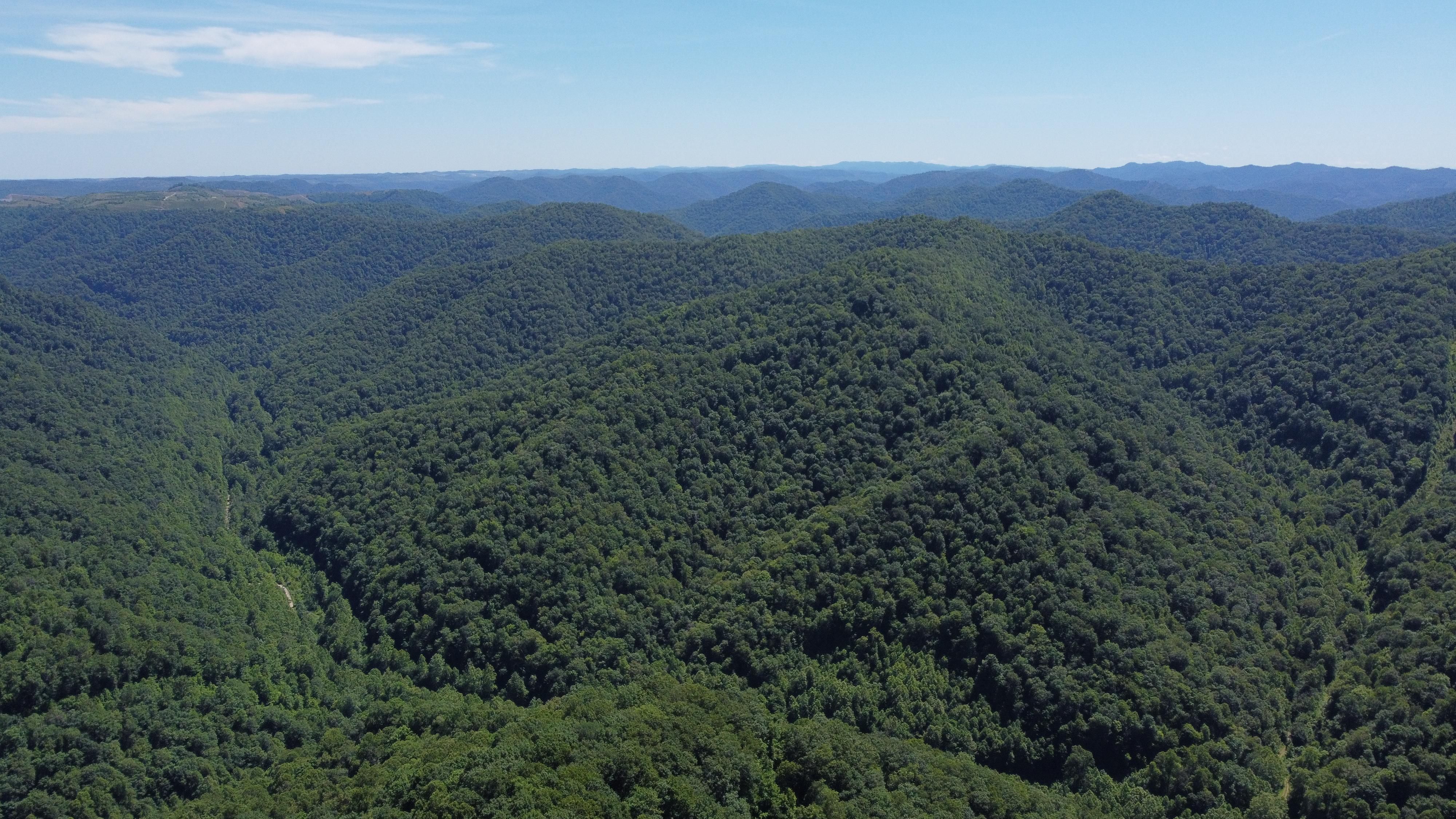 Lyburn, Logan County, WV Recreational Property, Timberland Property ...