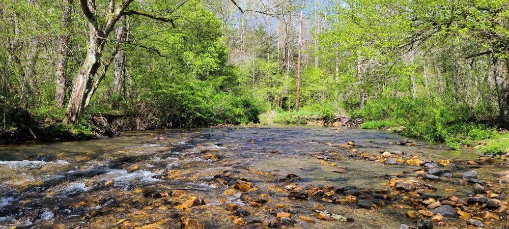 Egypt Road, Nallen, WV 26680 | MLS: BRACKENS CREEK FOREST | LandWatch
