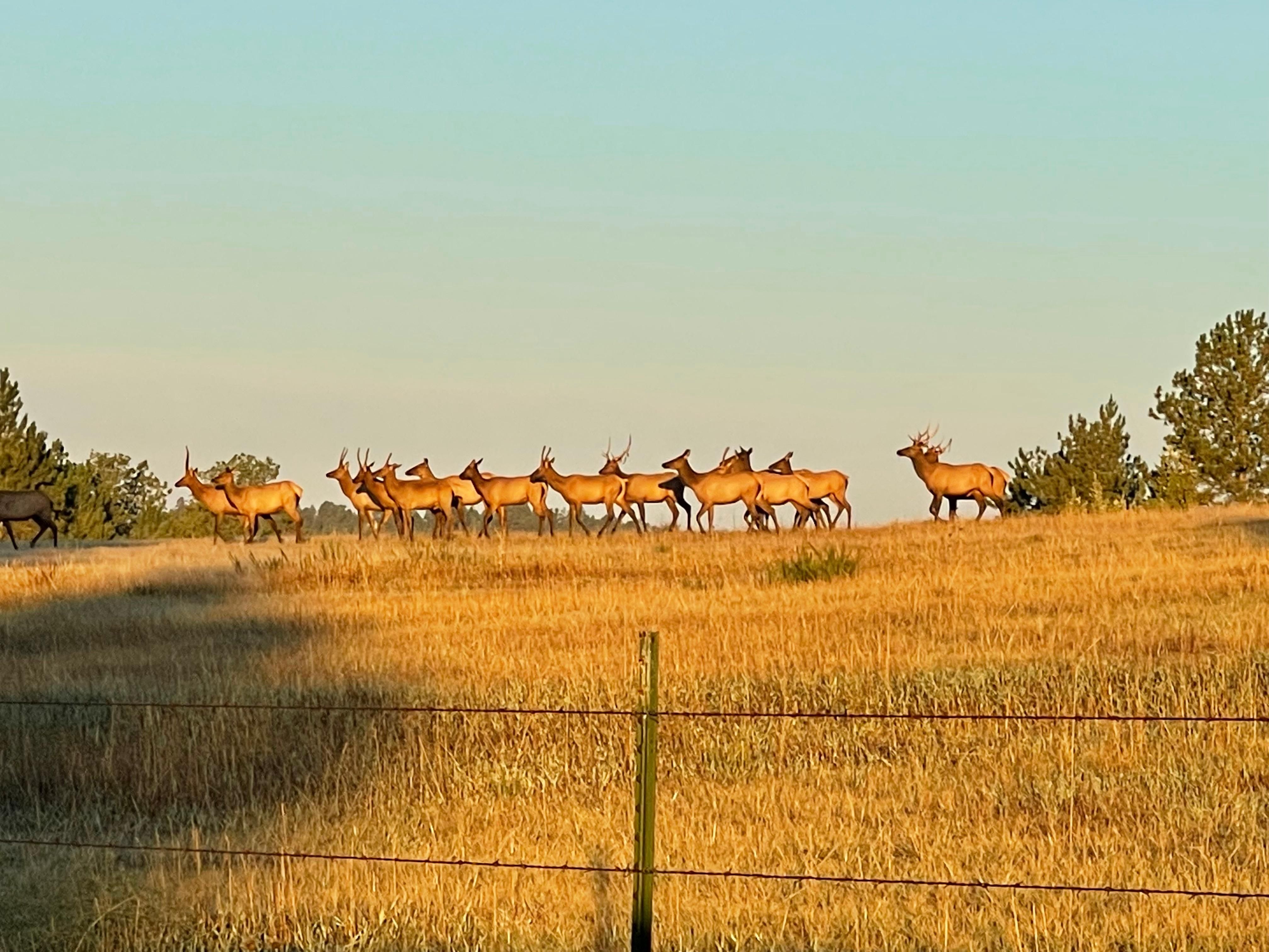 575 W Musselshell Rd, Musselshell, MT 59059 | LandWatch