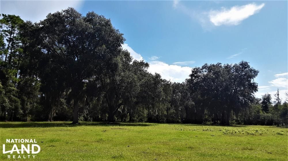 Interlachen, Putnam County, FL Farms and Ranches, Recreational Property, Undeveloped Land for ...