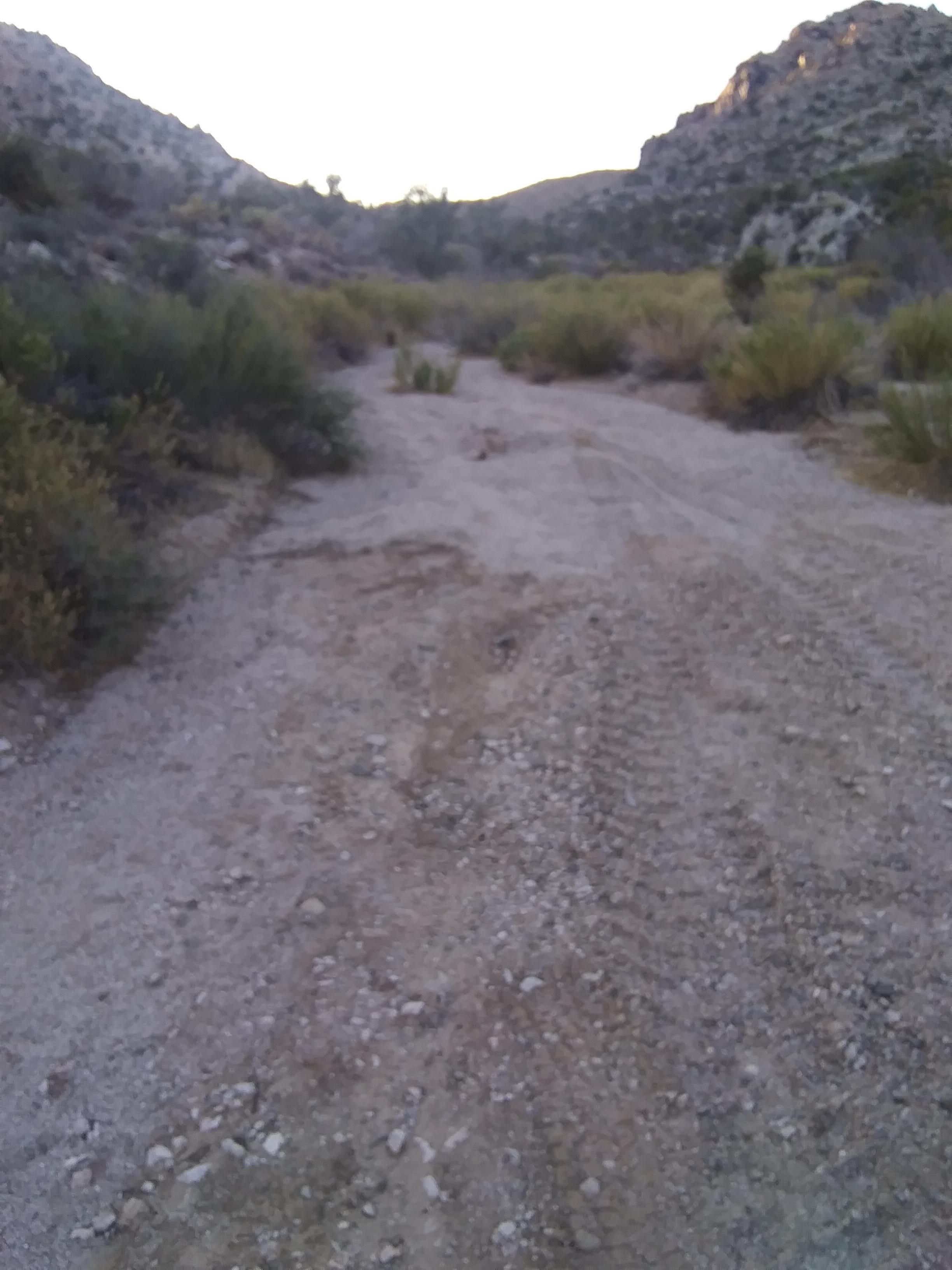 Christmas Tree Pass Road, Cal-Nev-Ari, NV 89039 | MLS: Exclusive ...