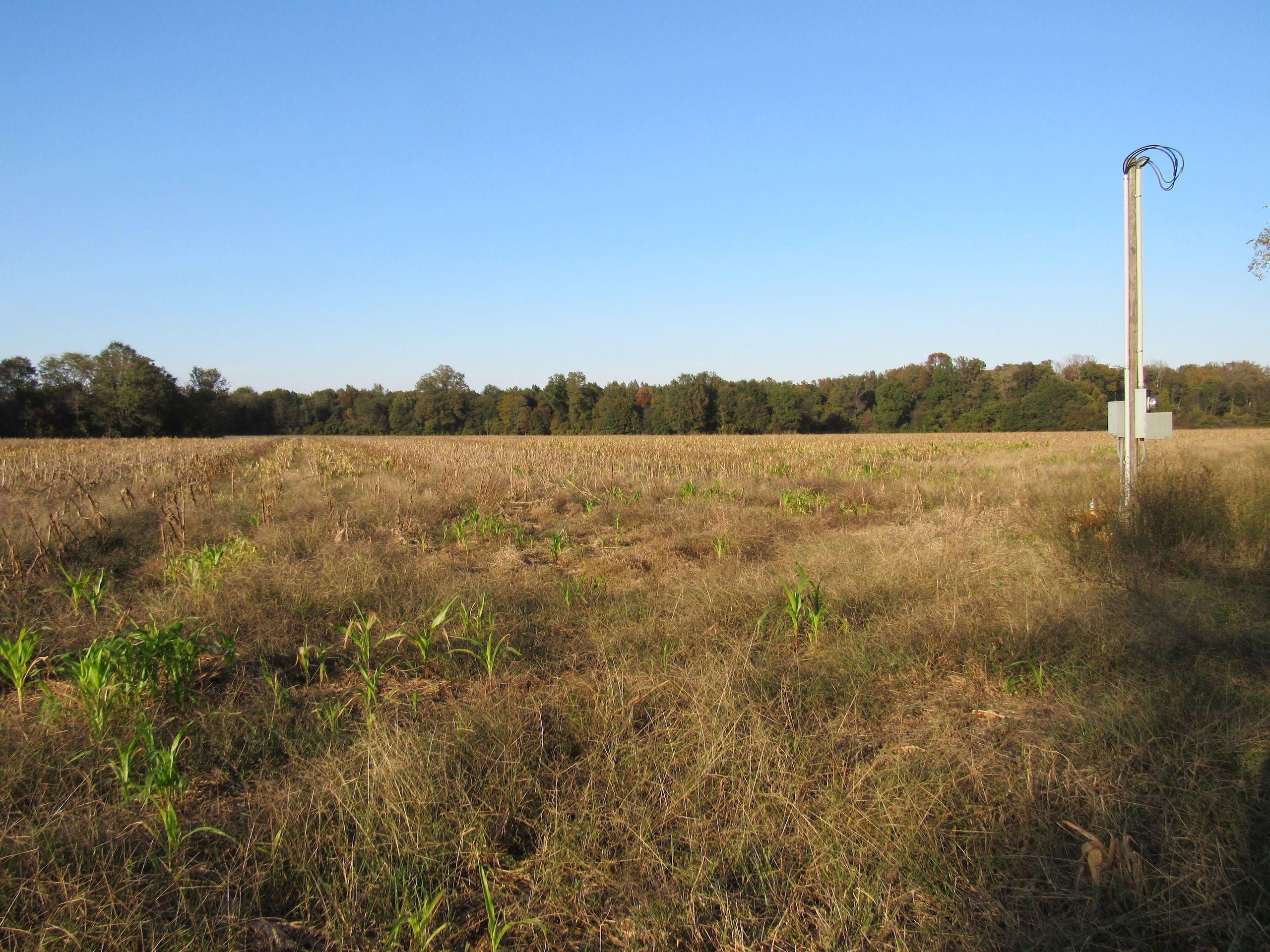 Wilmot, Ashley County, AR Recreational Property, Hunting Property for ...