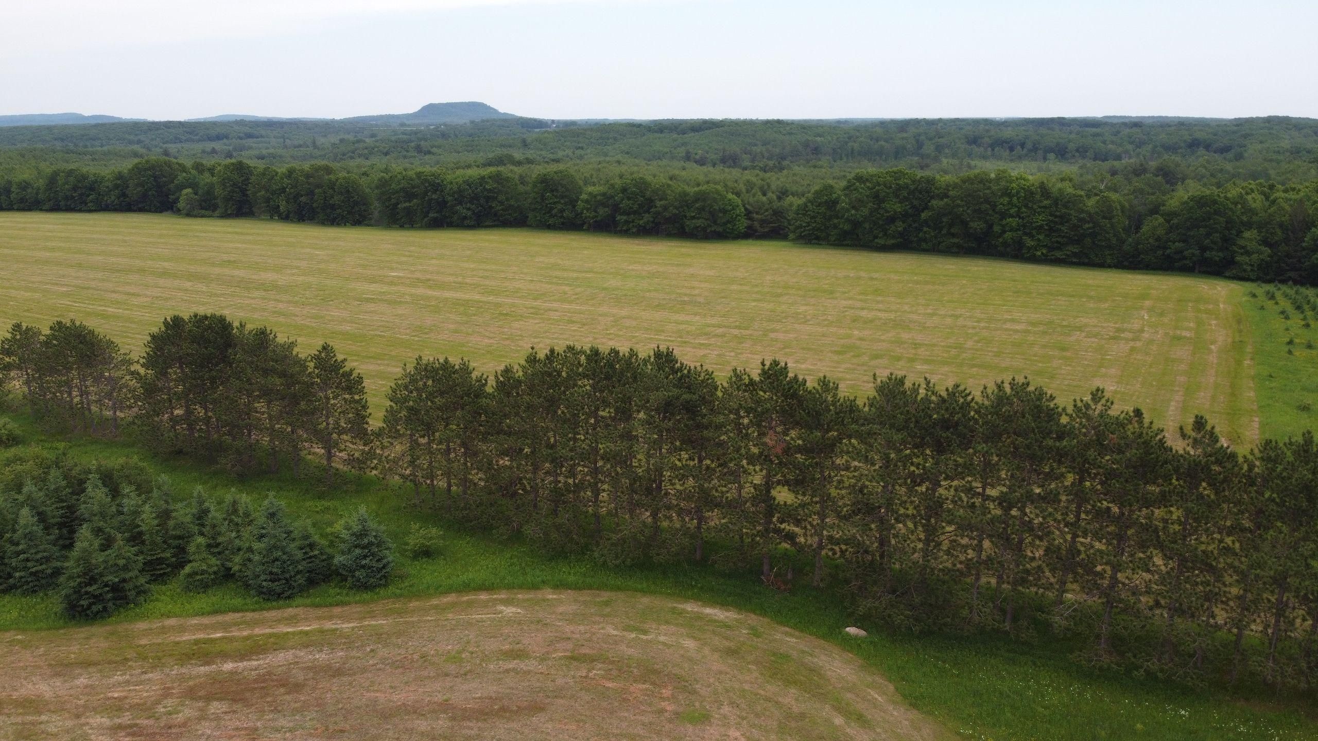 0 Hwy M, lot#WP001, Willard, WI 54493 | LandWatch