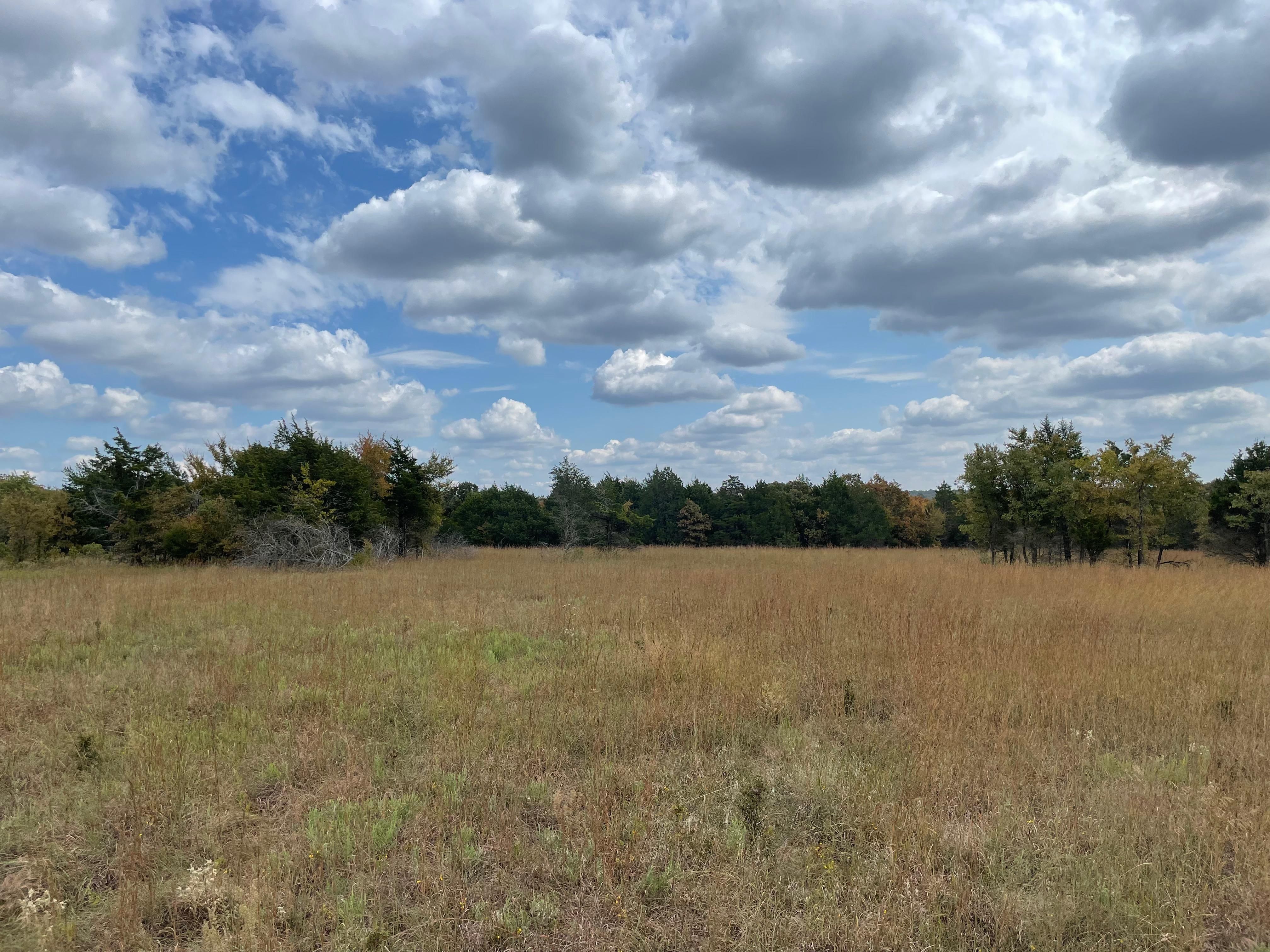 ooo Lott Bottom Road, Lamar, OK 74850 | MLS: 37606 | LandWatch