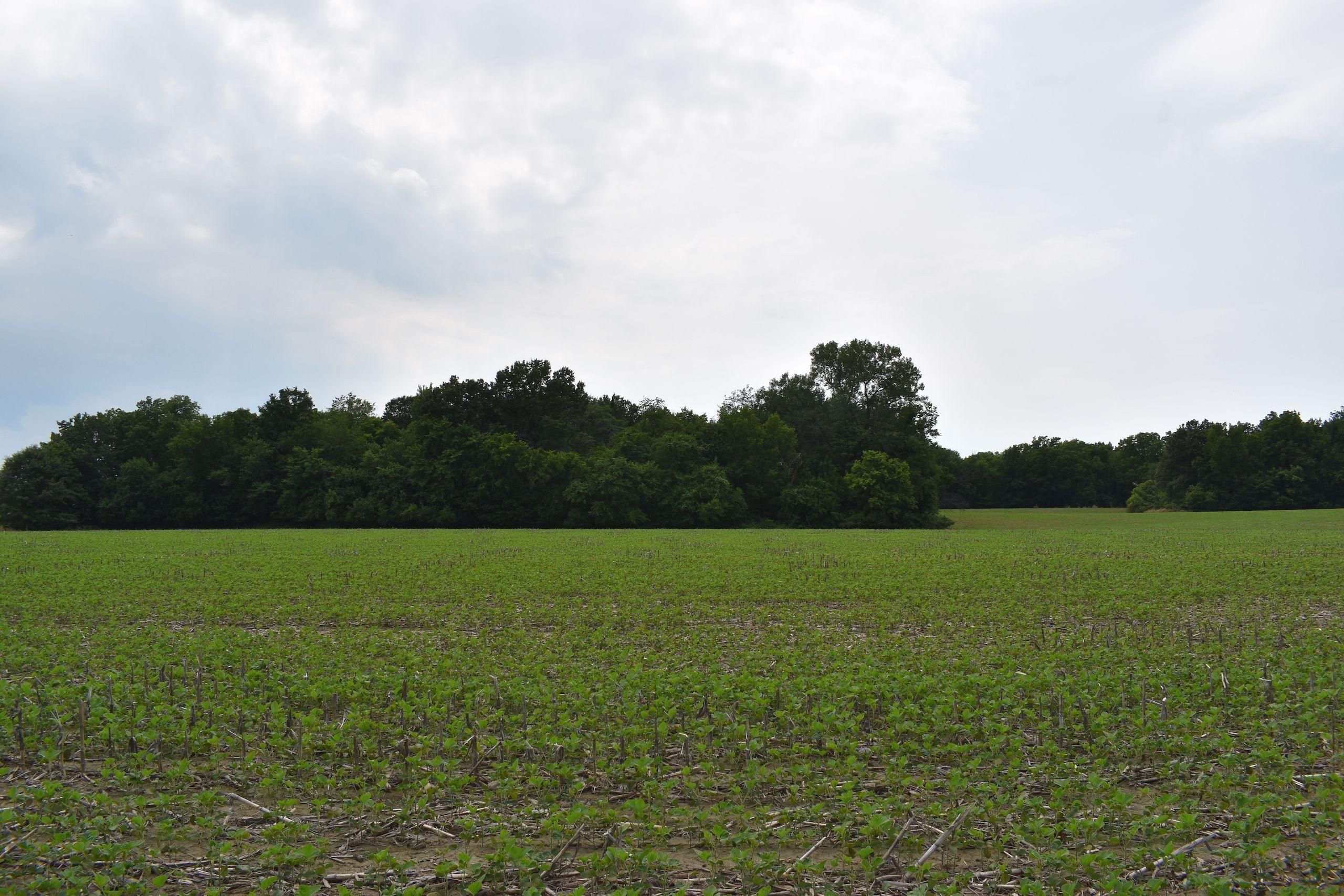 Clark Road, Lot #WP001, Hettick, IL 62649 | LandWatch