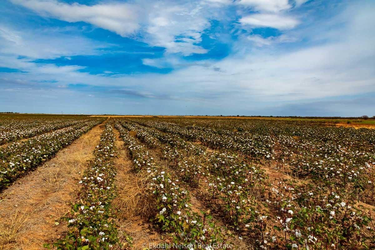 Stamford, Jones County, TX Farms and Ranches, Recreational Property for ...