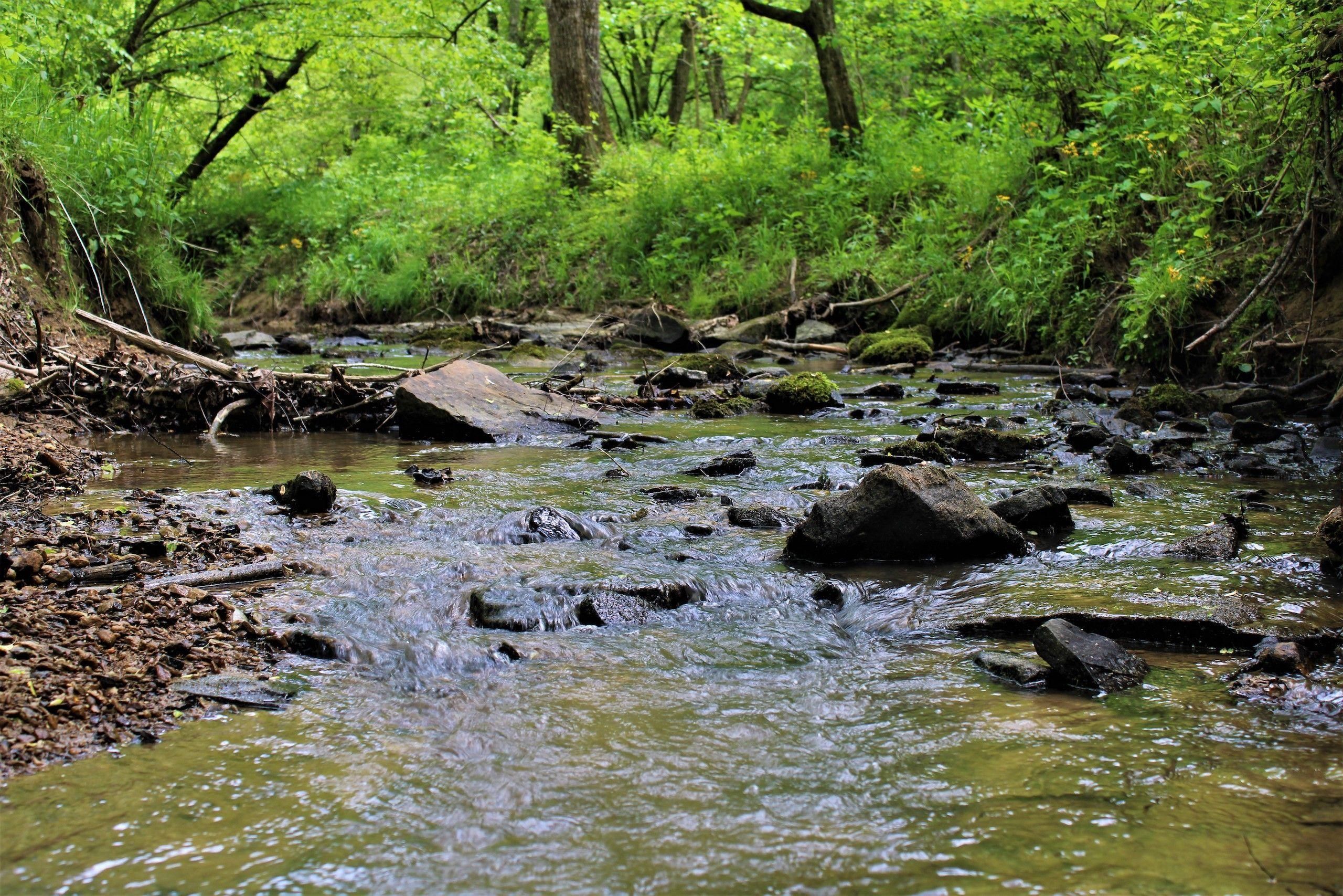 Roaring Paunch Creek Road, Lot#PW01, Strunk, KY 42649 | LandWatch