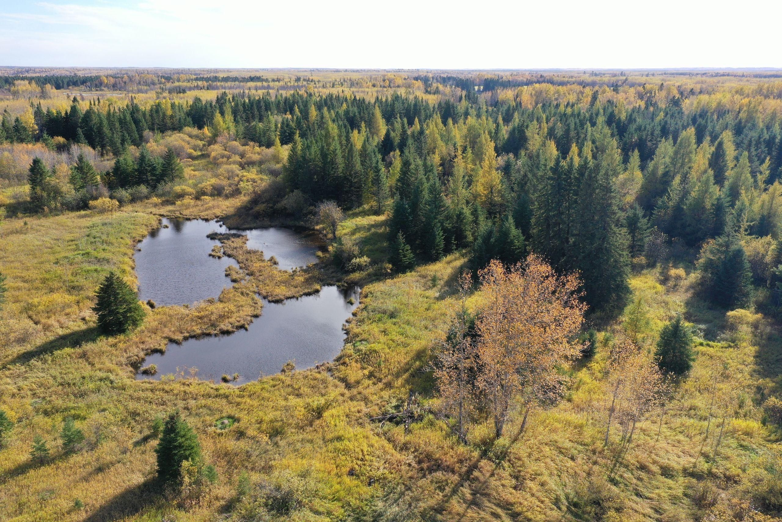 County Rd 19, Lot#WP001, Gheen, MN 55771 | LandWatch