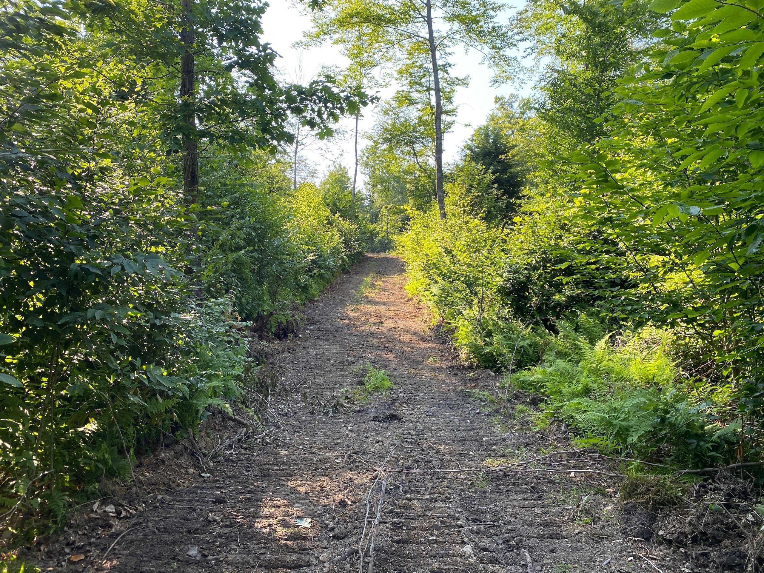 Spring Creek, Warren County, PA Recreational Property, Timberland ...
