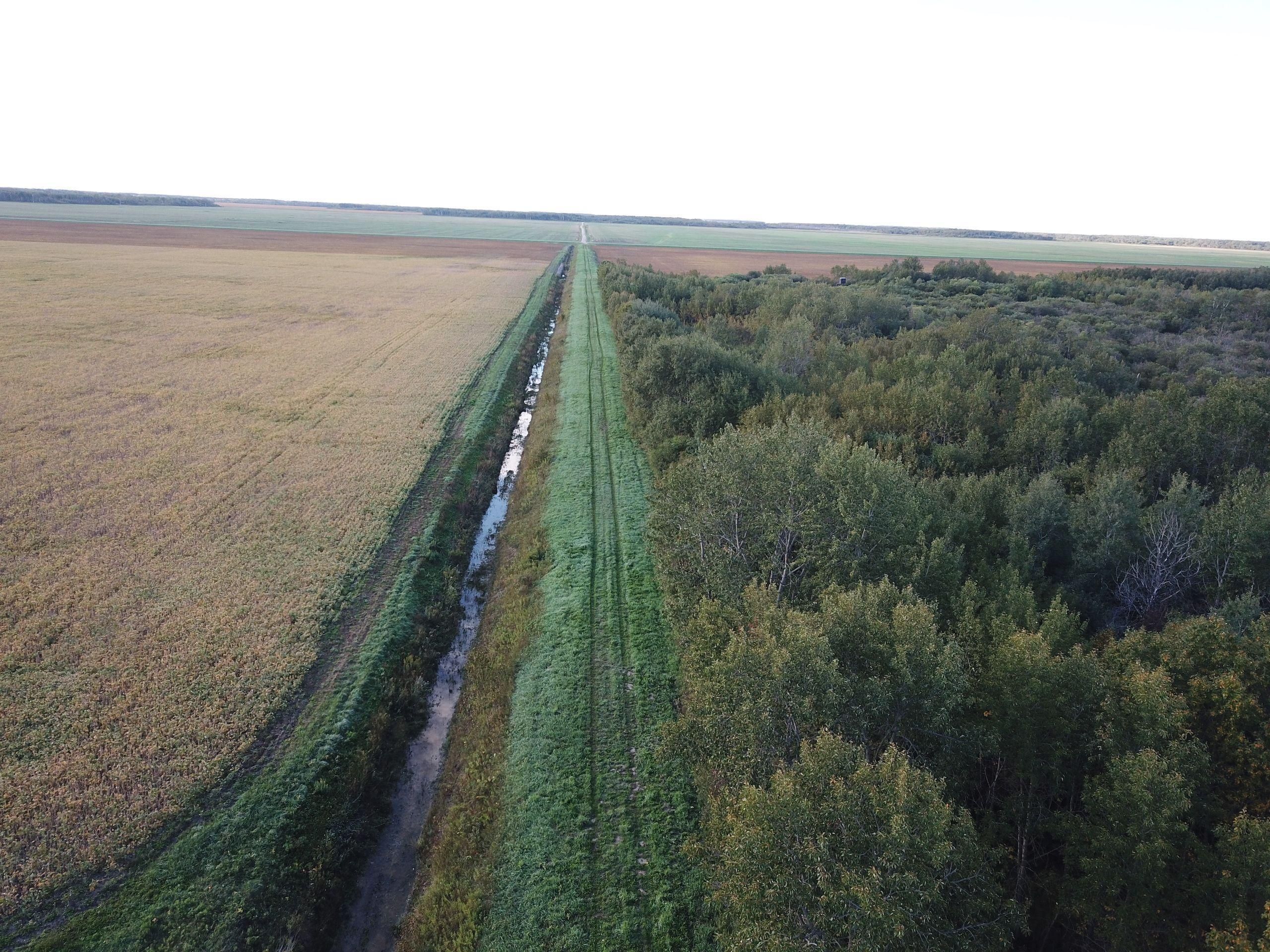 County Highway 6, Lot#WP001, Grygla, MN 56727 | LandWatch