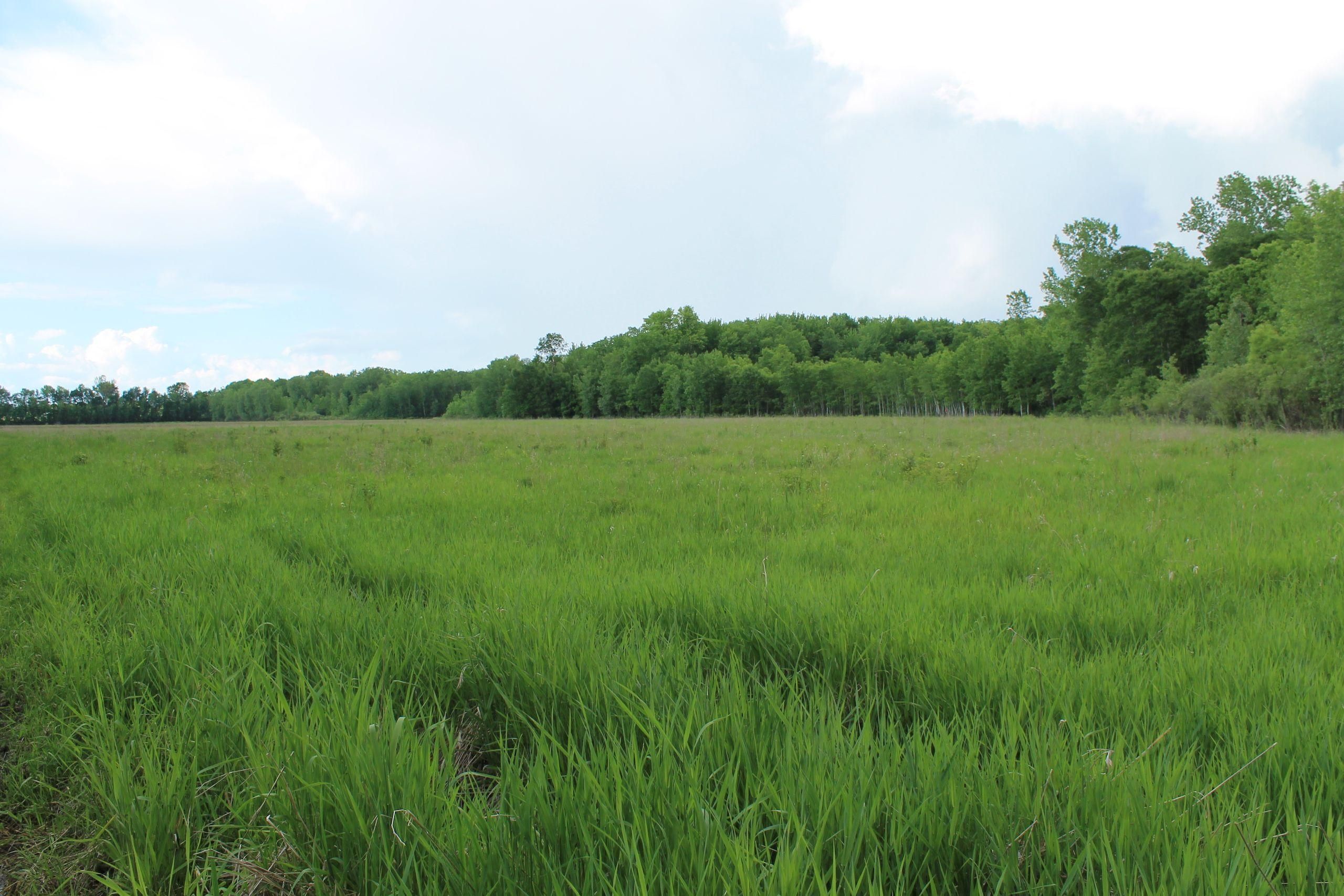 County Road XX, Kiel, WI 53042 | LandWatch