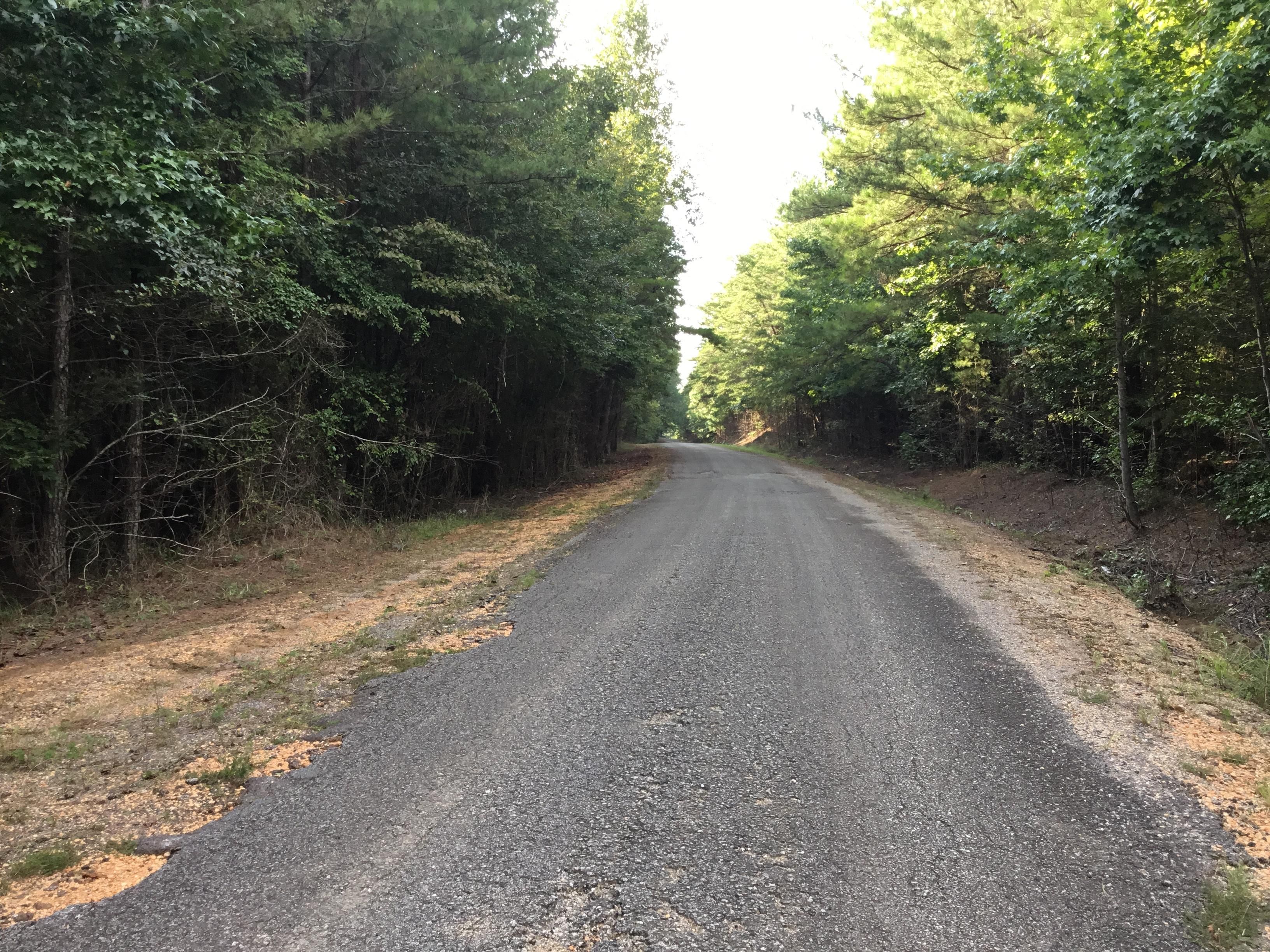 Beech Grove Road, Townley, AL 35587 | LandWatch