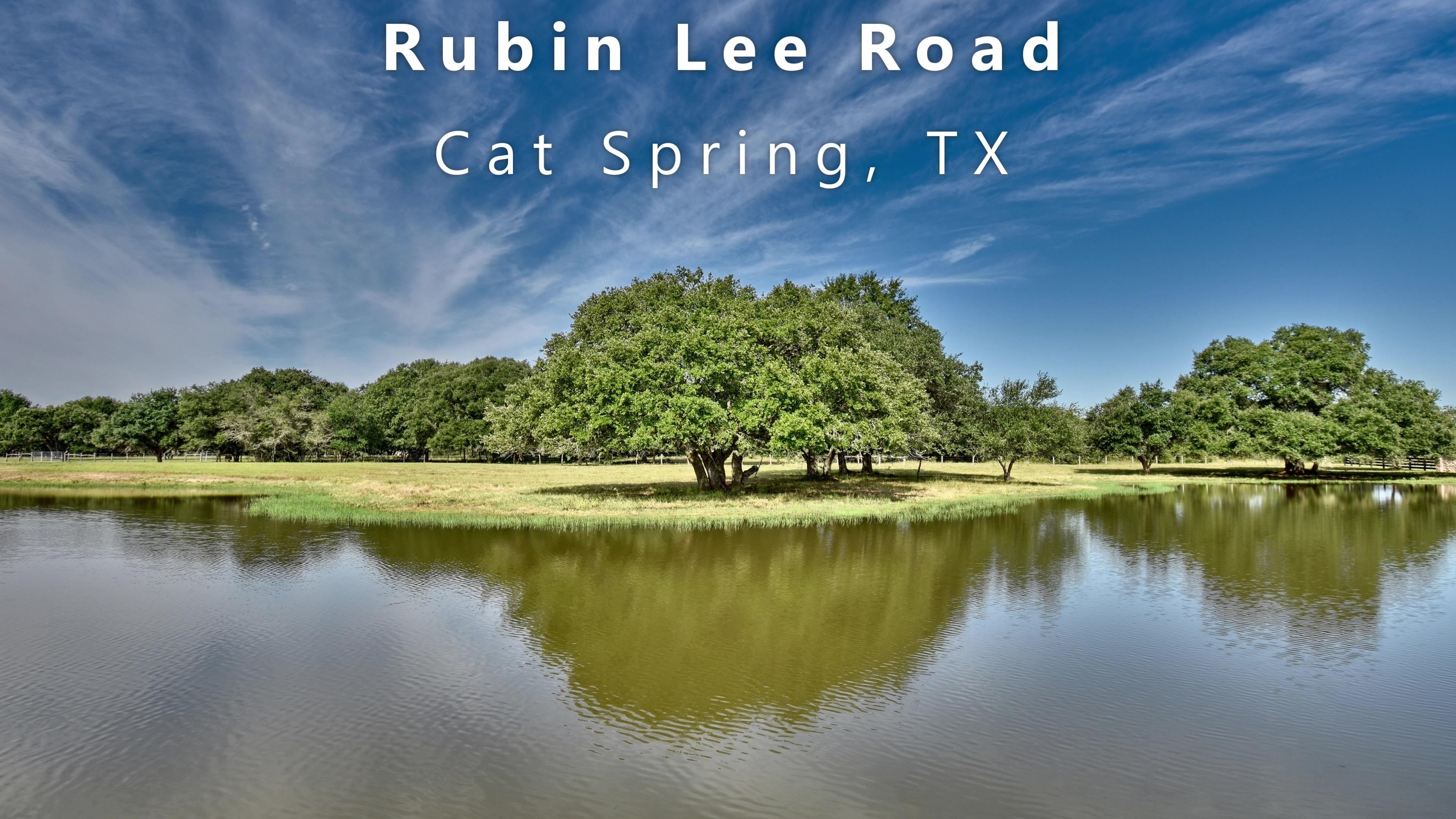 Rubin Lee Road, Cat Spring, TX 78933 | MLS: 133413 | LandWatch