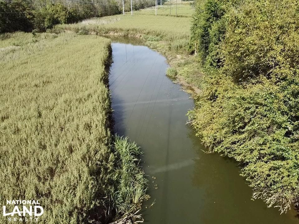 Gallion, Hale County, AL Recreational Property, Timberland Property ...