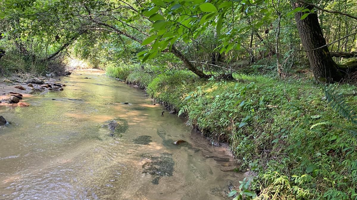 Traphill, Wilkes County, NC Recreational Property, Undeveloped Land ...