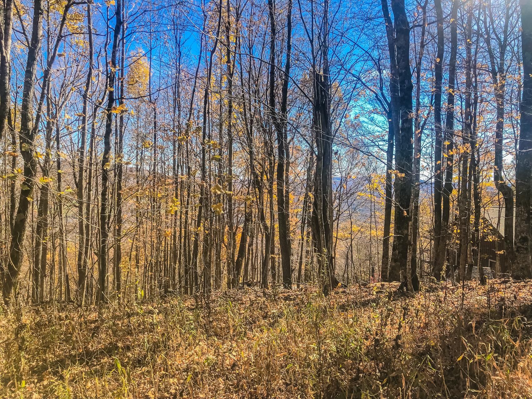 Big Tree Road, West Jefferson, NC 28694 | MLS: B217-JM | LandWatch