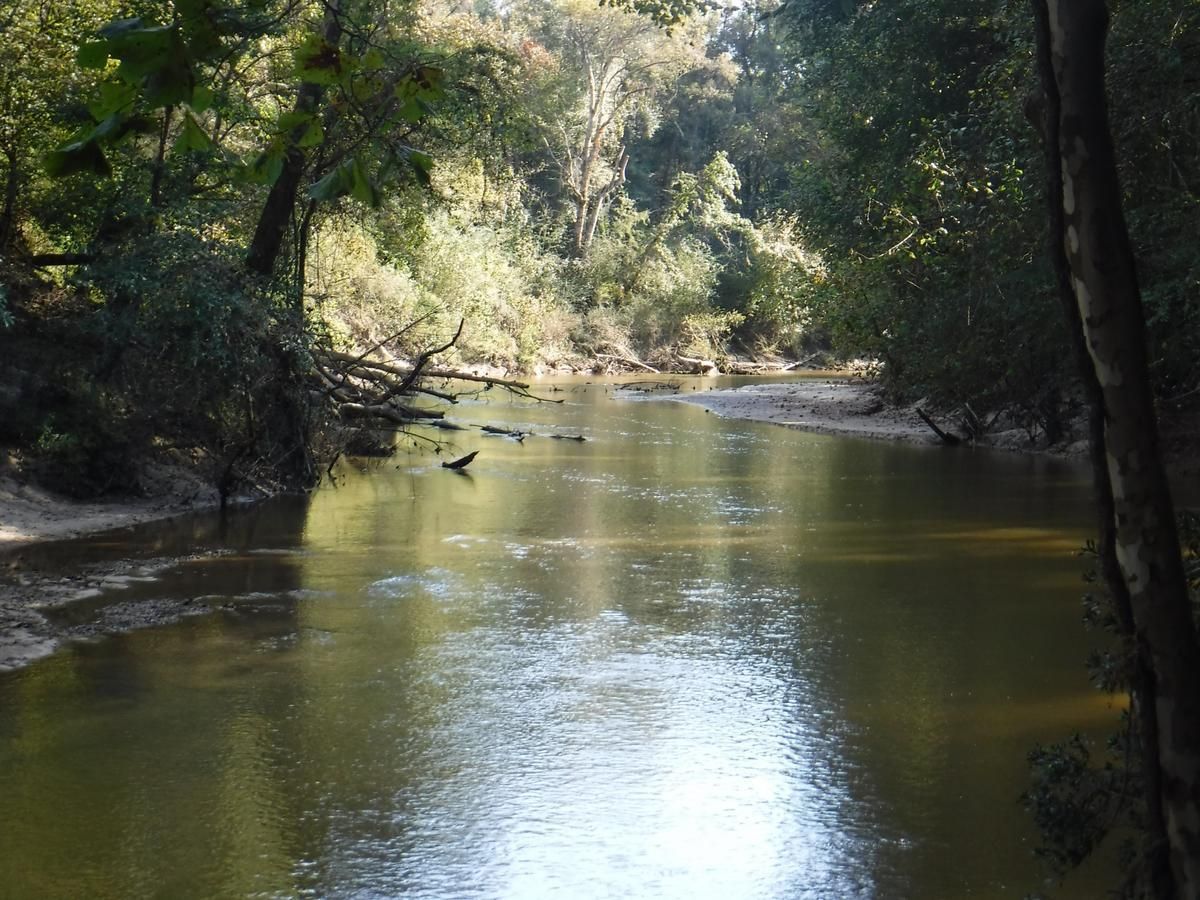 647 acres in Gilbertown, AL, 36908 | LandWatch