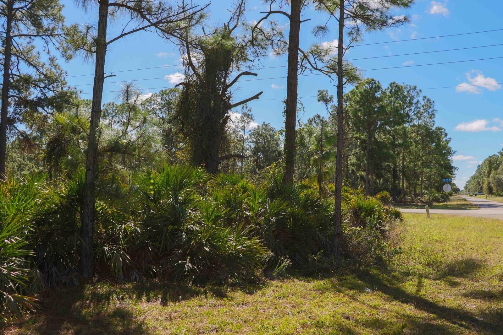 Lehigh Acres, Lee County, FL Recreational Property, Homesites for sale ...