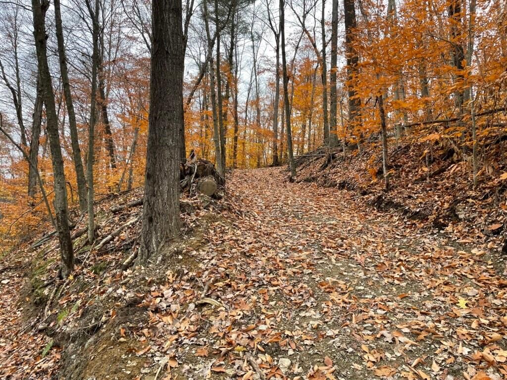 Daggett Hollow Road, Bolivar, NY 14715 | LandWatch