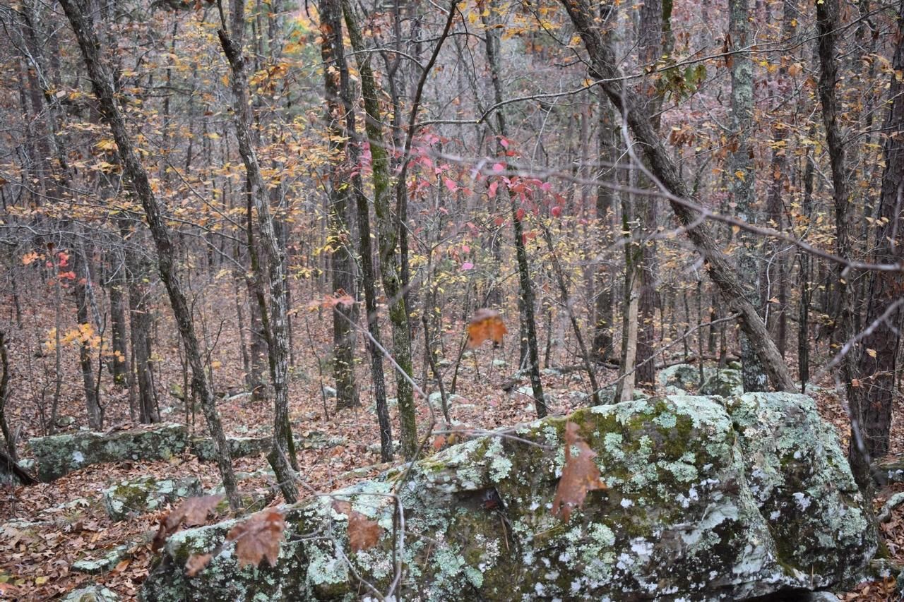 480 Sanstone Road, Clinton, AR 72031 | LandWatch