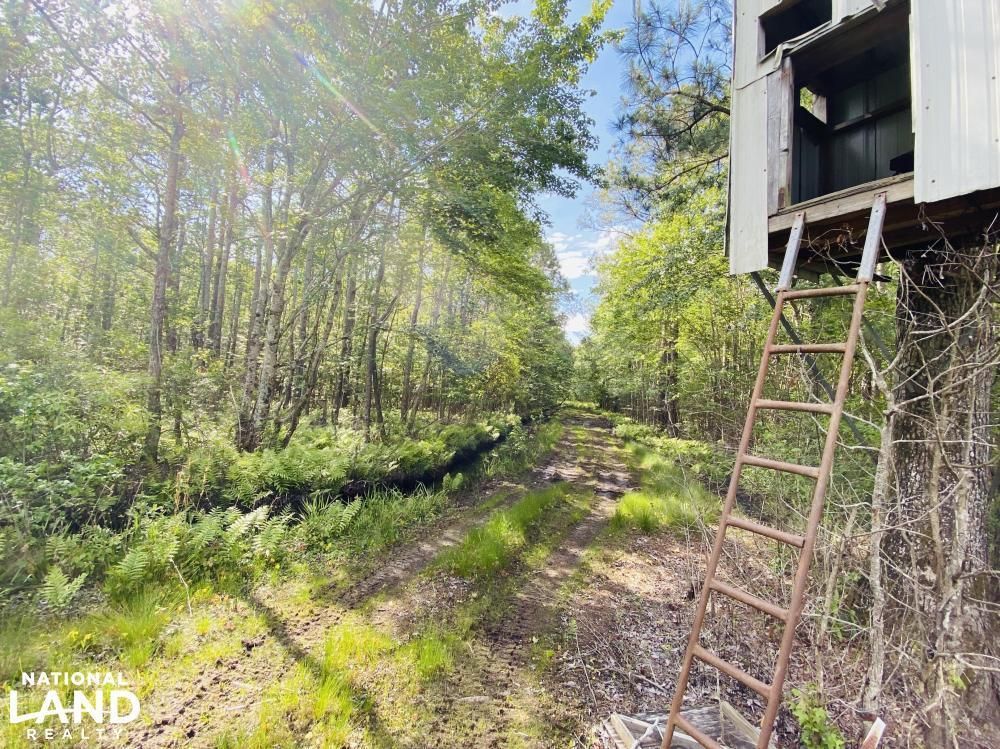 0 Hwy 264, Scranton, NC 27875 | LandWatch
