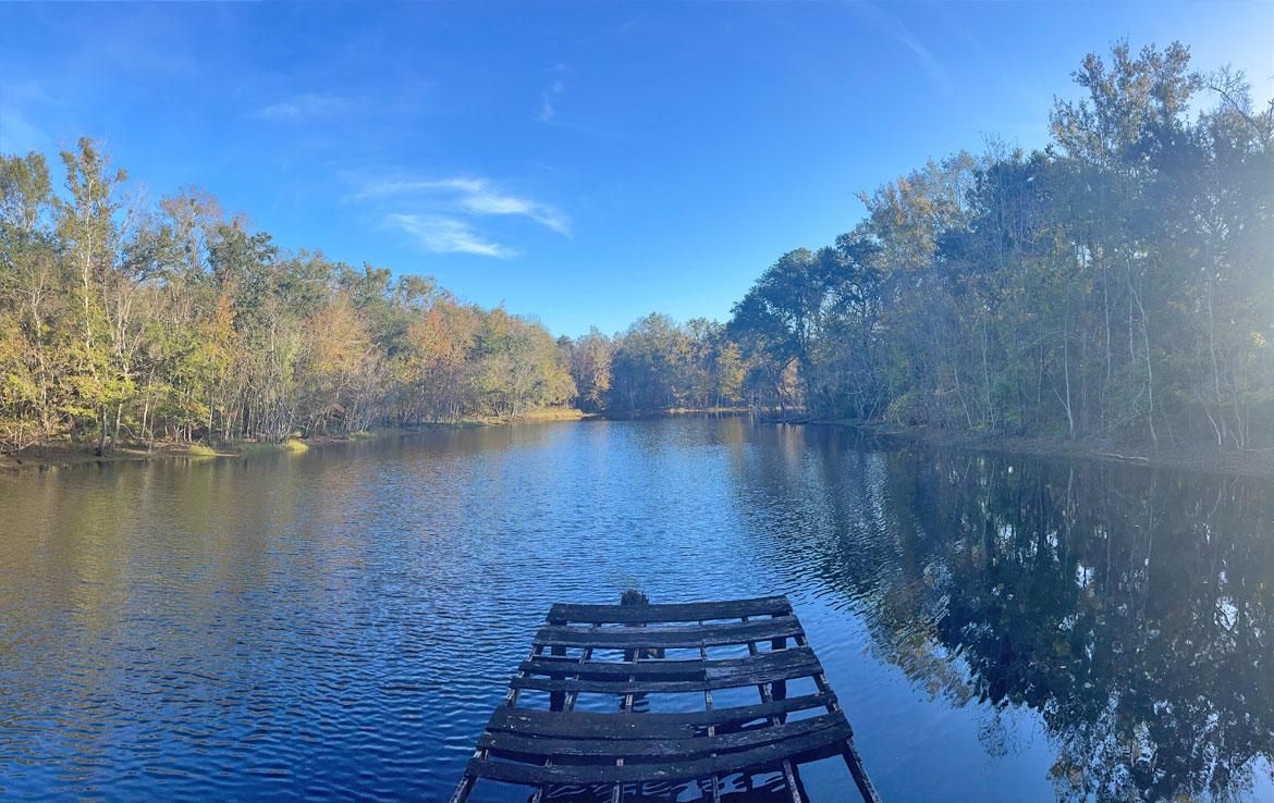 Pioneer Road, Theodore, AL 36582 | MLS: PIONEER ROAD TRACT | LandWatch