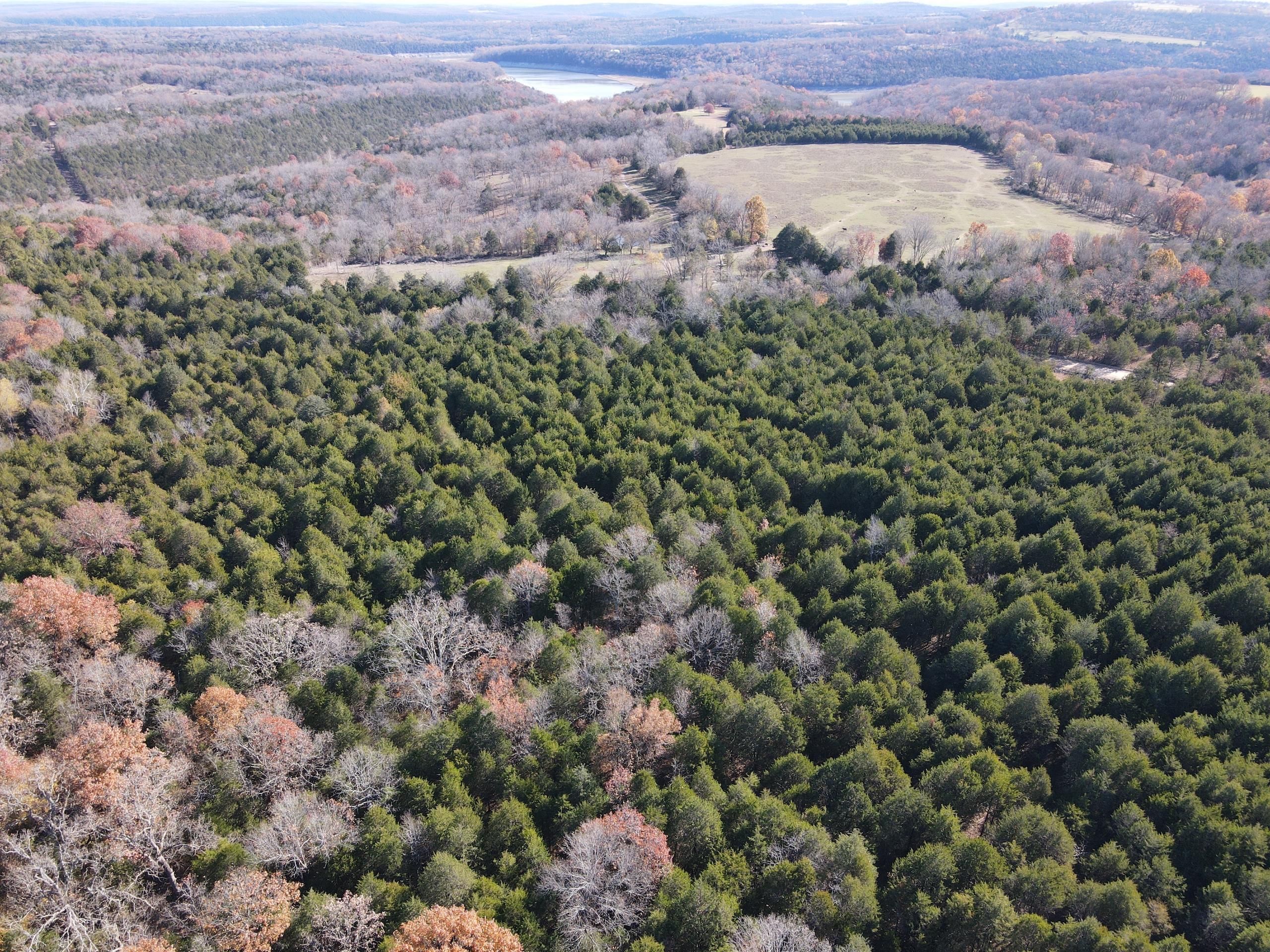 Omaha, Boone County, AR Recreational Property, Timberland Property ...