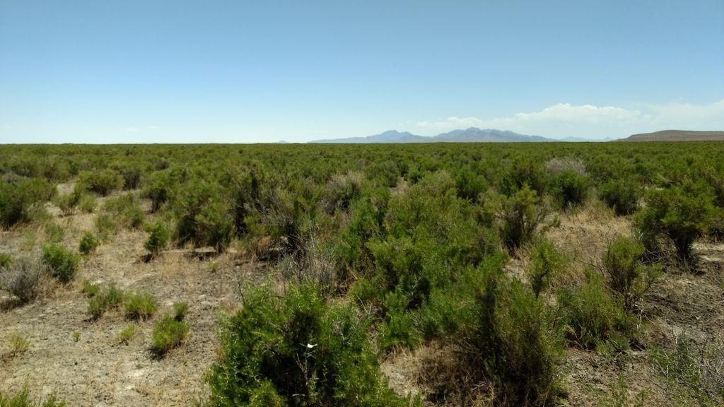 Pigeon Mountain Loop, Lucin, UT 84083 | LandWatch