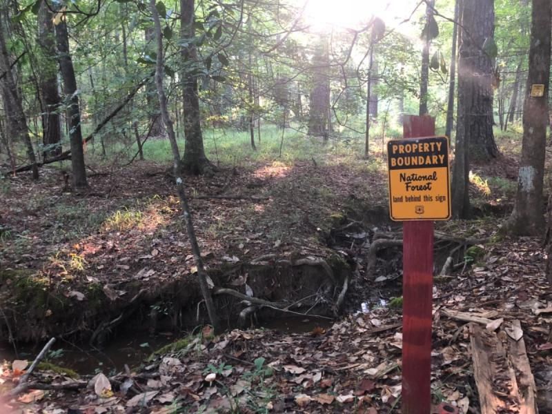 Union Church, MS, Union Church, MS 8644 | LandWatch