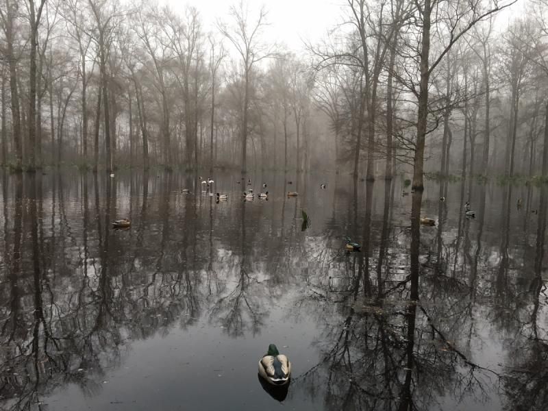 Holcomb, MS, Holcomb, MS 38940 | LandWatch