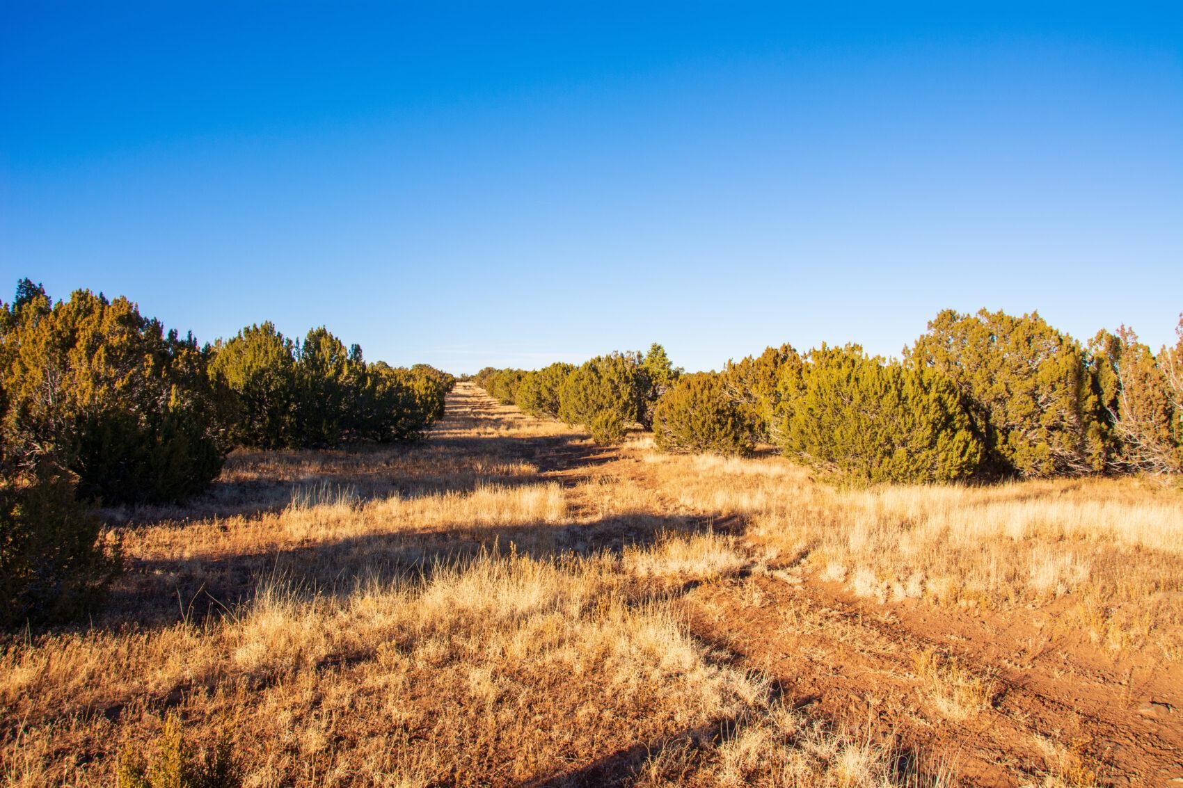 Concho, Apache County, AZ Recreational Property, Hunting Property ...