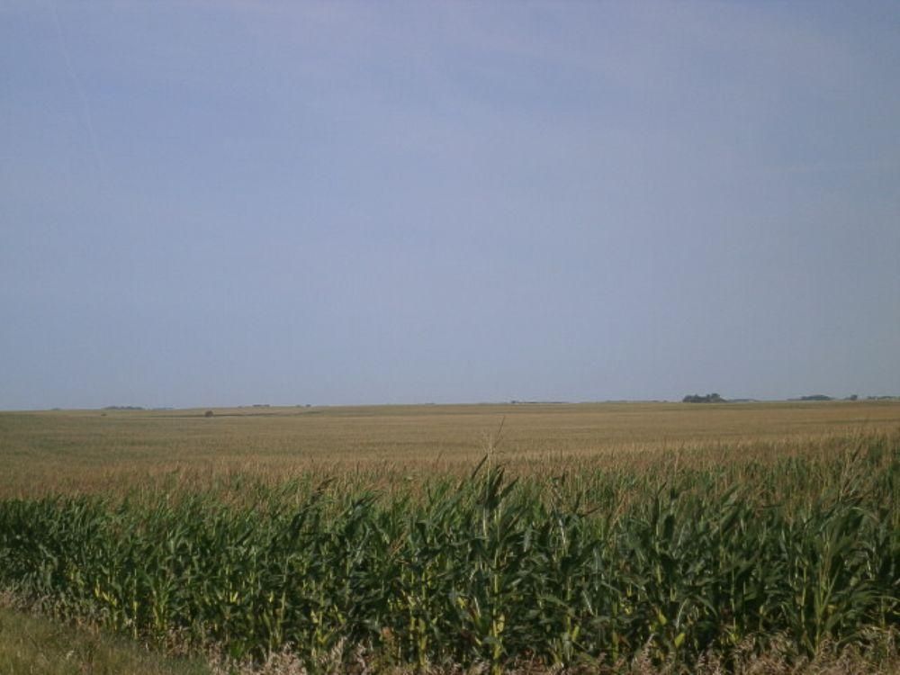 Armstrong, Emmet County, IA Farms and Ranches, Recreational Property ...