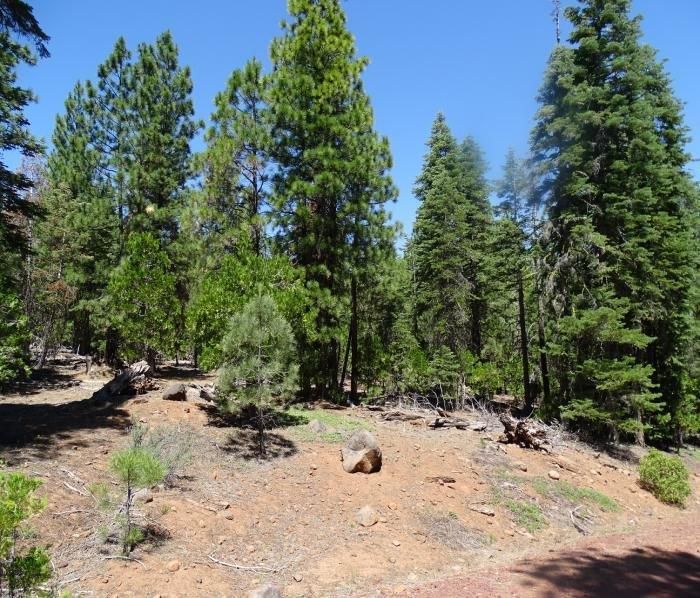 1.01 acres in California Pines, CA, 96101 | LandWatch